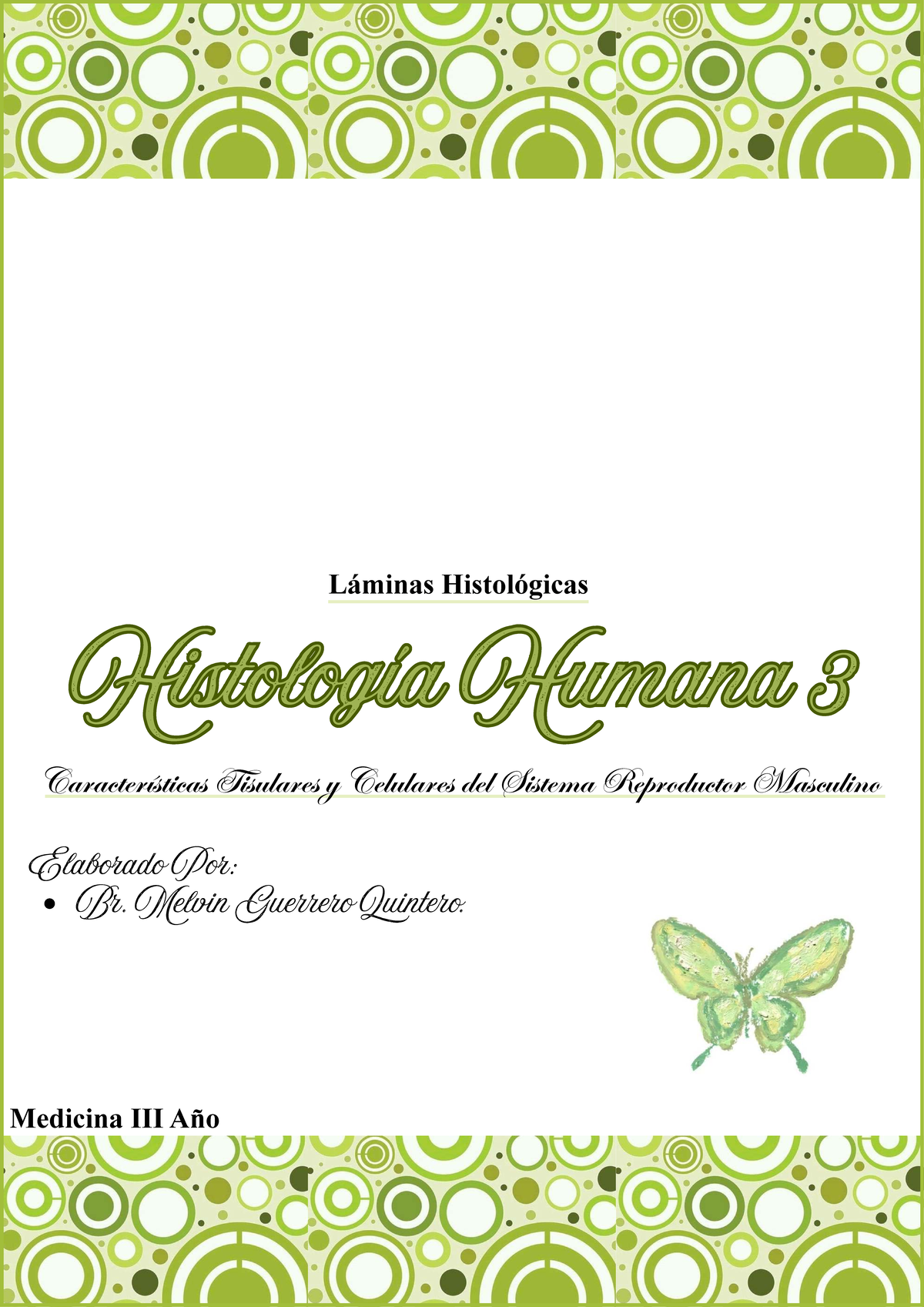 Histología Humana III Práctica No.5: Sistema Reproductor Masculino ...