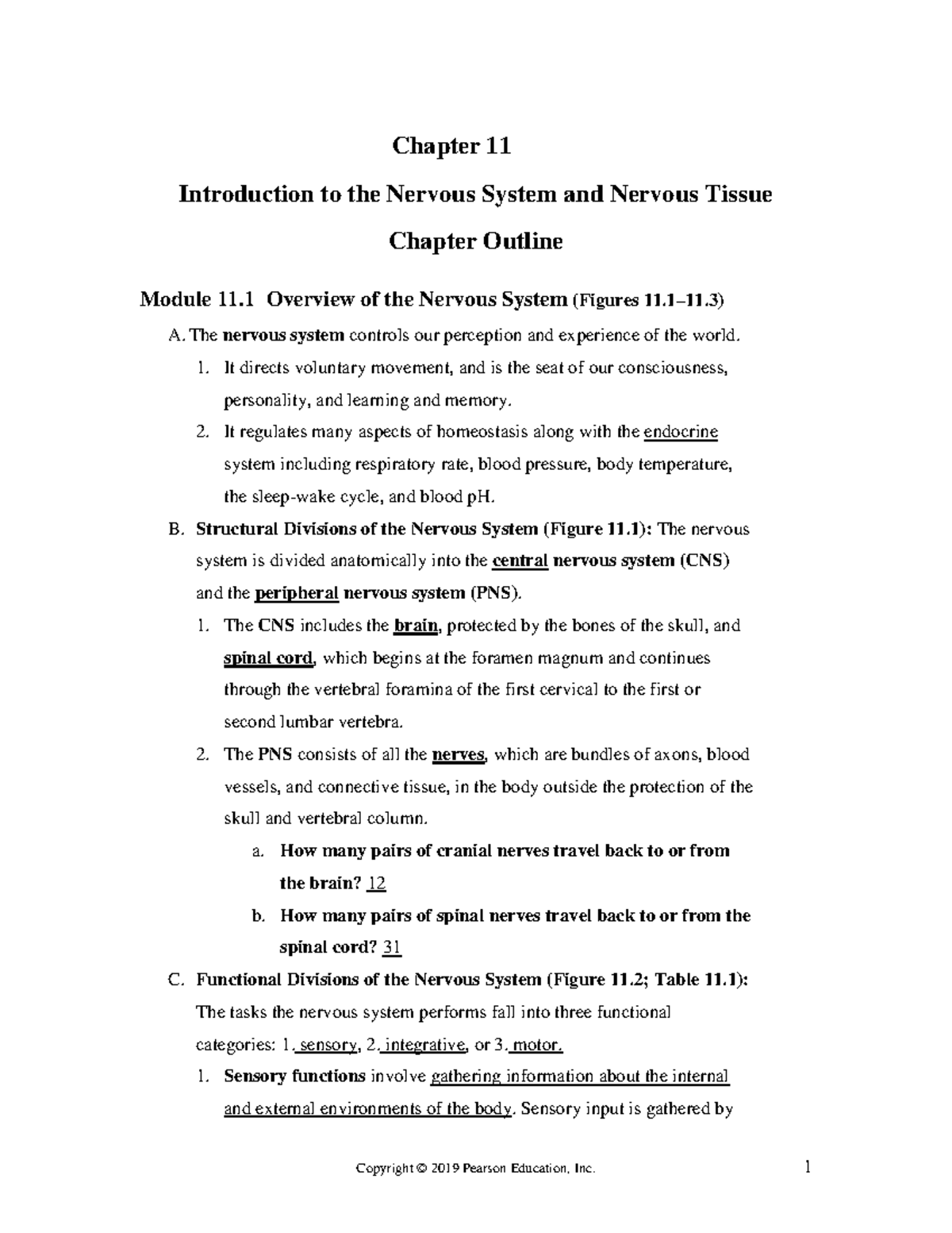 Electrophysiology of Neurons: Action & Local Potentials Overview (BIOL ...