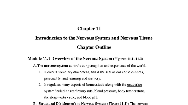 Electrophysiology of Neurons: Action & Local Potentials Overview (BIOL ...
