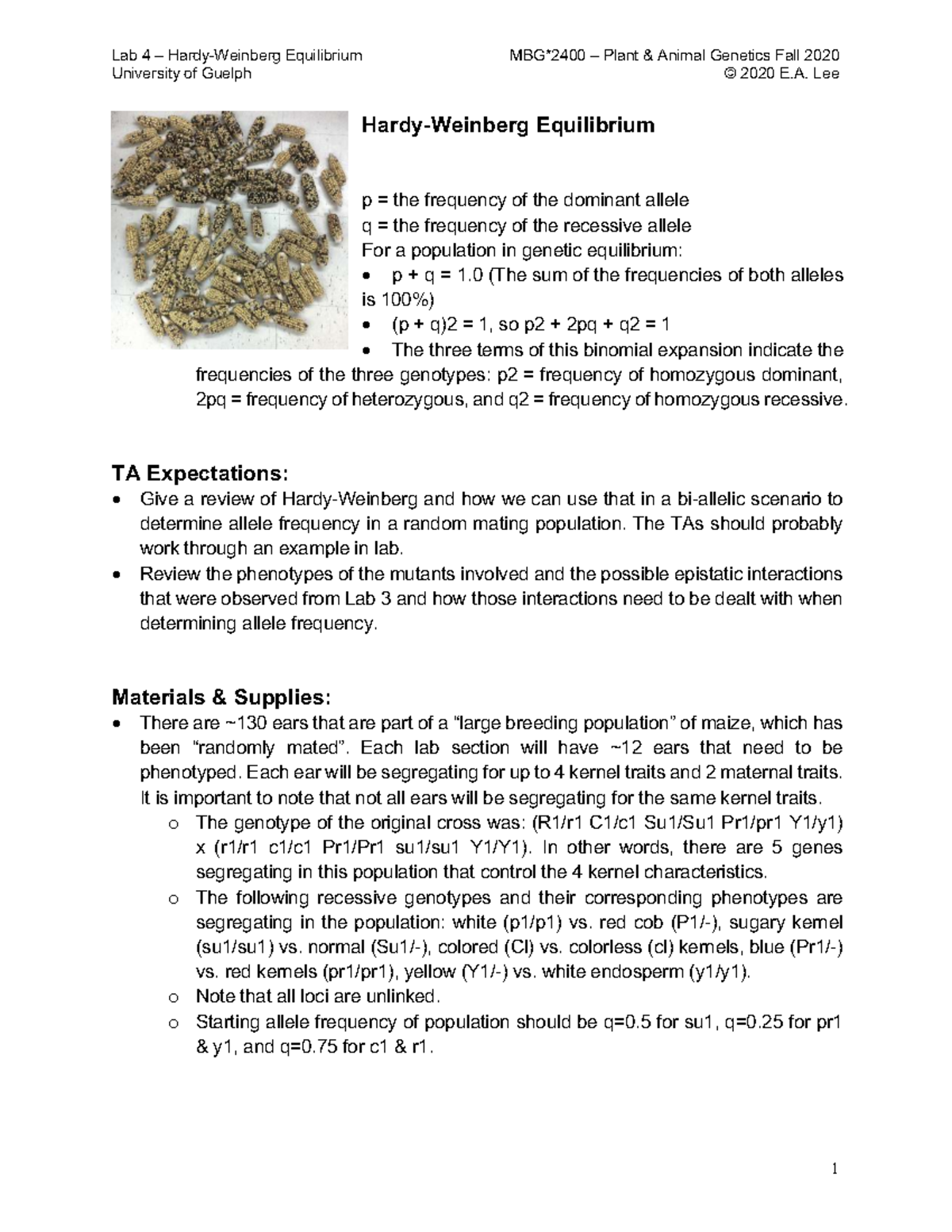Lab 4: Equilibrium in Plant Animal Genetics (Fall 2020) - Student Guide ...
