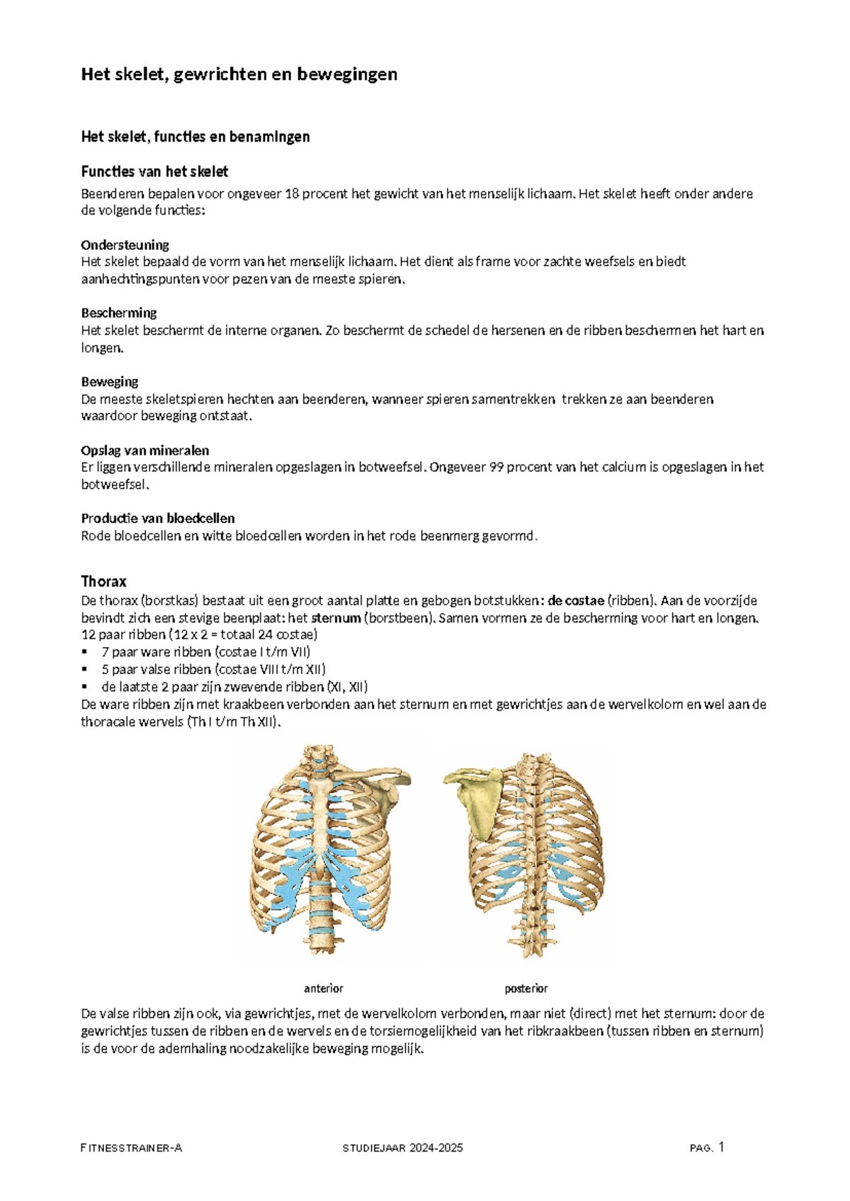 Skelet en Bewegingen: Functies, Gewrichten en Anatomie (BIOL 101 ...