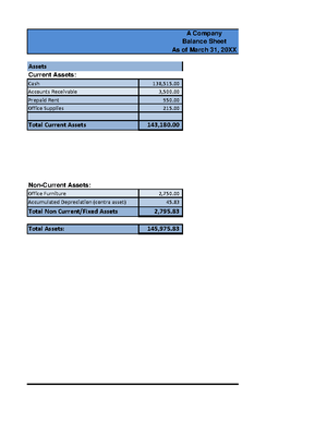 ACC 201 Project Summary Report - Summary Report: Financial Statements 1 ...