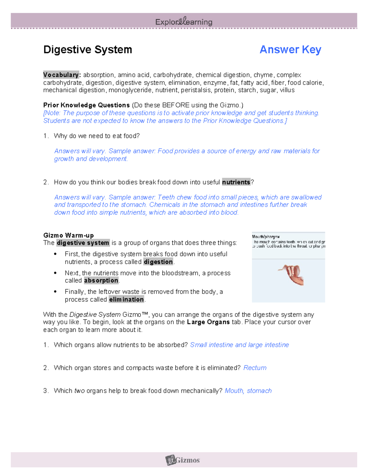 10 - Digestive System Gizmo Answer Key and Activities - Studocu