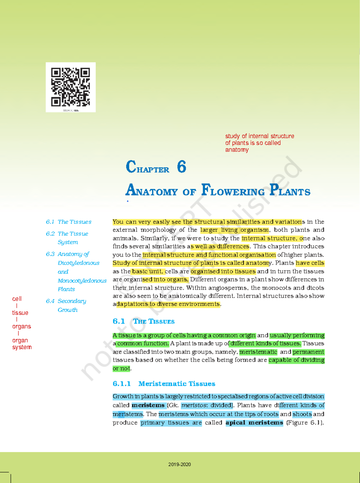 Ch-6-Anatomy-of-flowering-plants underlined - Copy - 84 BIOLOGY You can ...