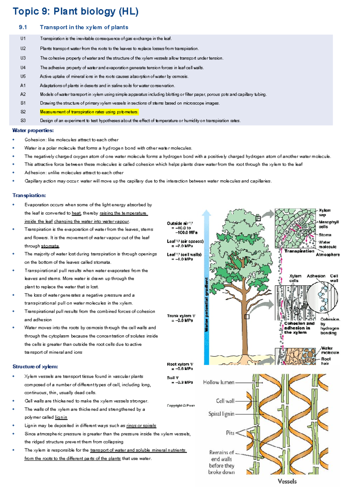 Topic 9: Plant Biology (HL) - Transport, Growth, and Reproduction ...