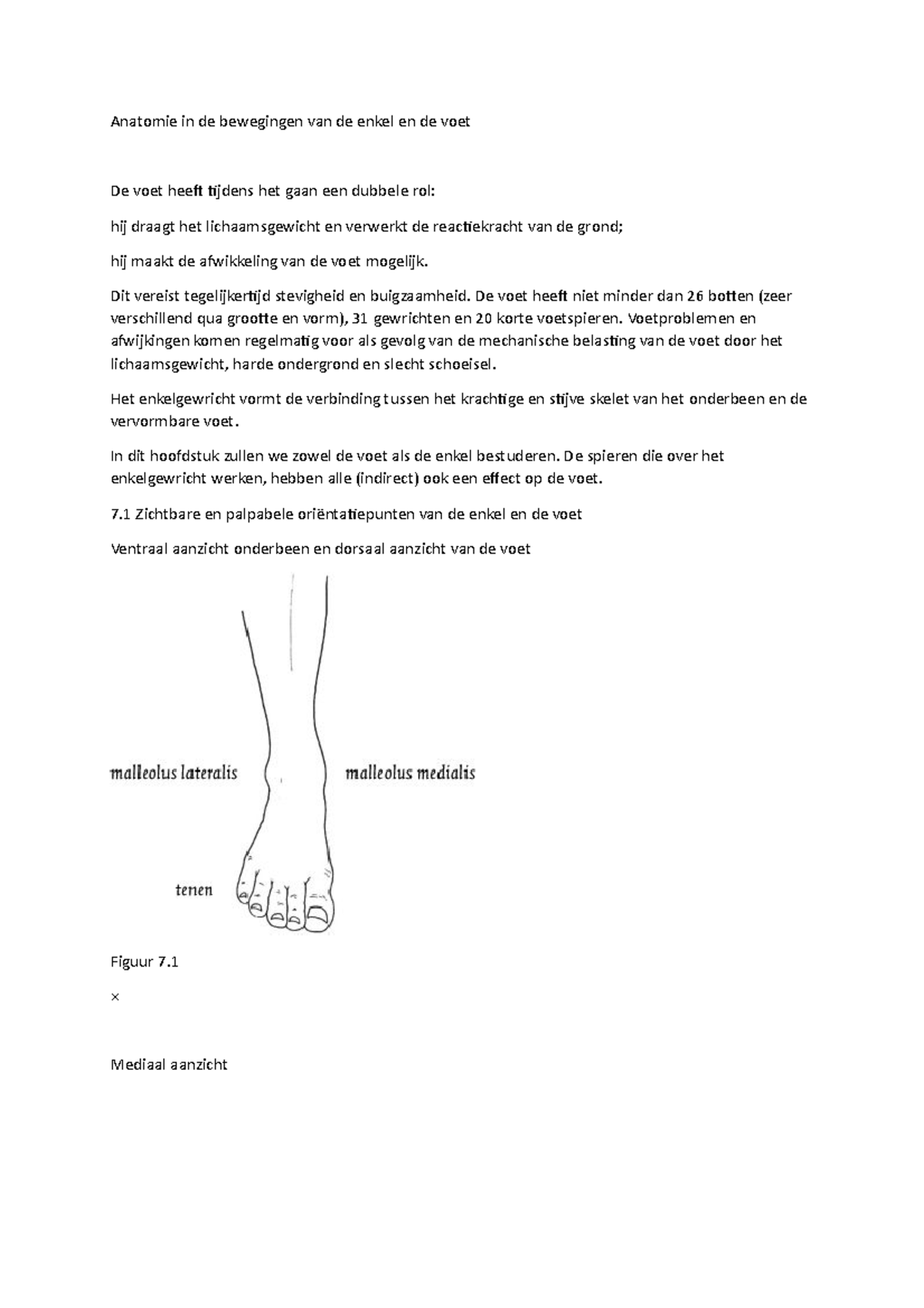 Anatomie van de Enkels en Voetbewegingen - Hoofdstuk 7 - Studeersnel