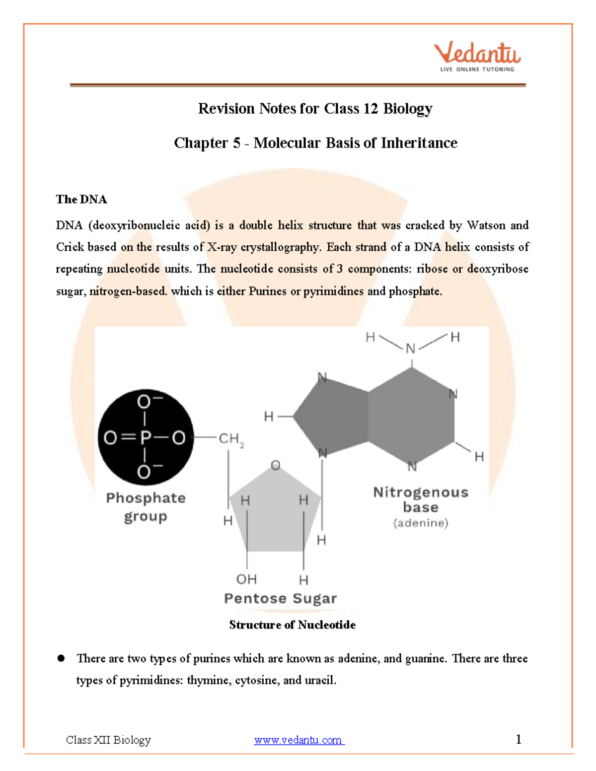 Biology Class 12 Chapter 5: Molecular Basis of Inheritance Notes - Studocu