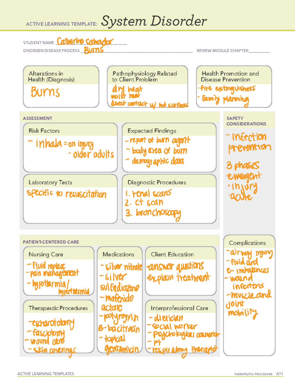 Active Learning Template for System Disorders: Burns Overview - Studocu