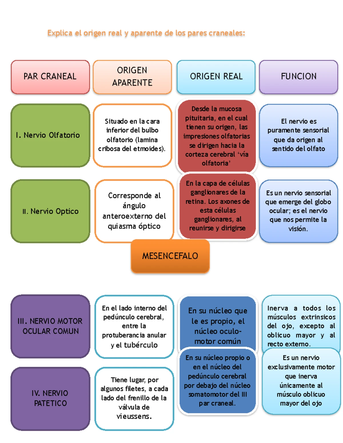 Morfología de dientes dibujados - Dientes primarios y permanentes Autor ...