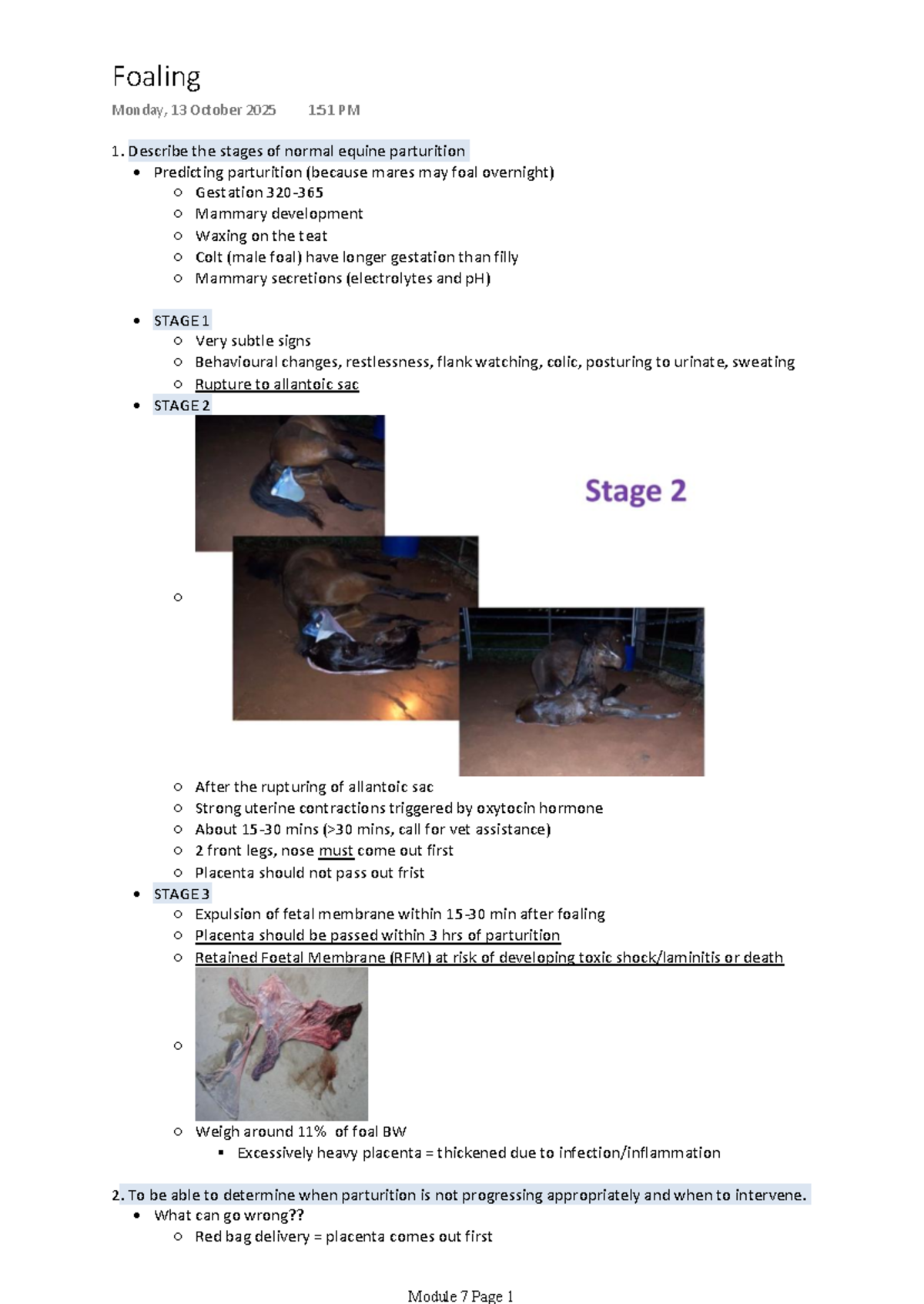 Foaling Process and Care: Equine Parturition Insights (Module 7) - Studocu