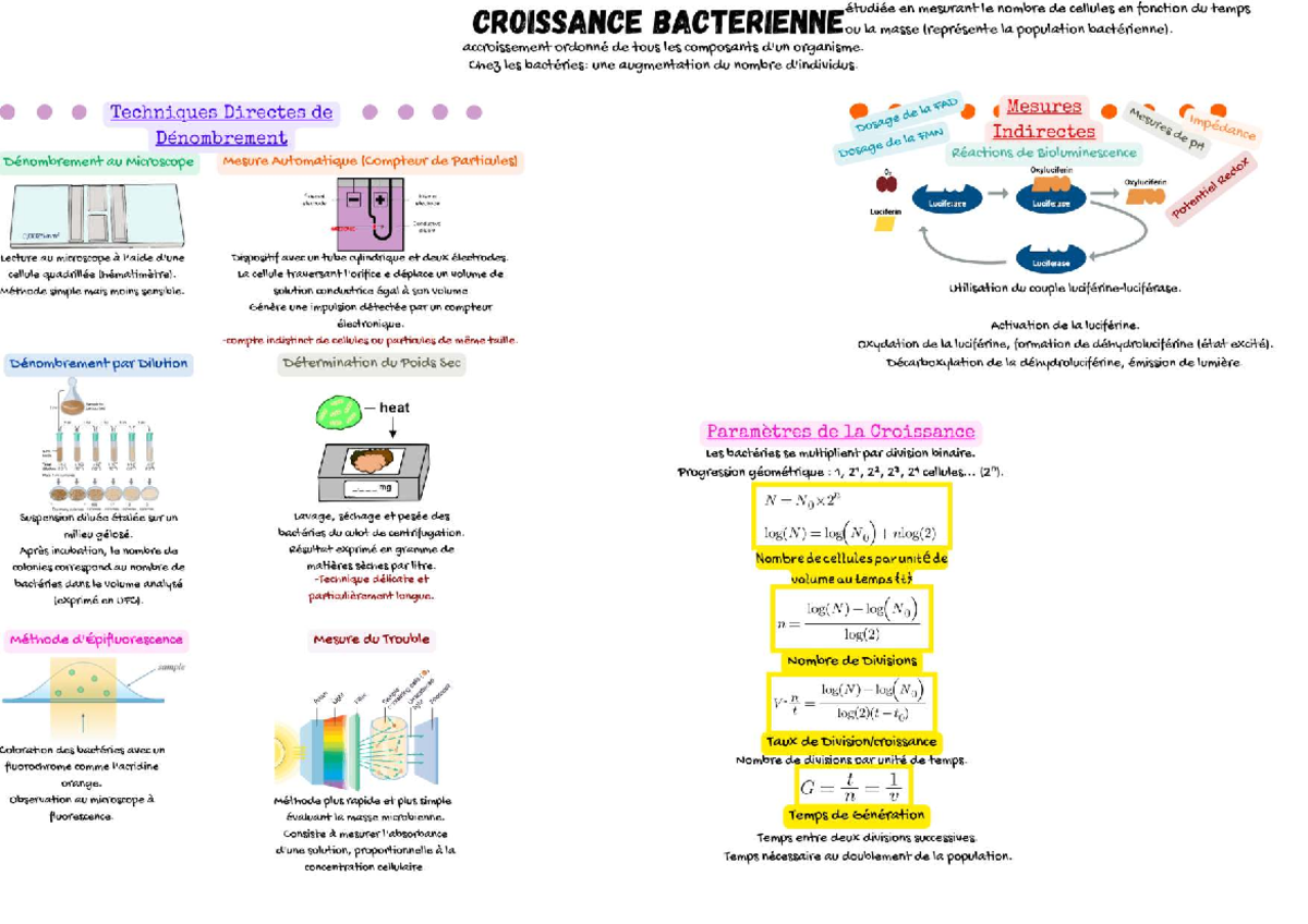 2. Croissance Bactérienne : Techniques de Mesure et Paramètres de ...