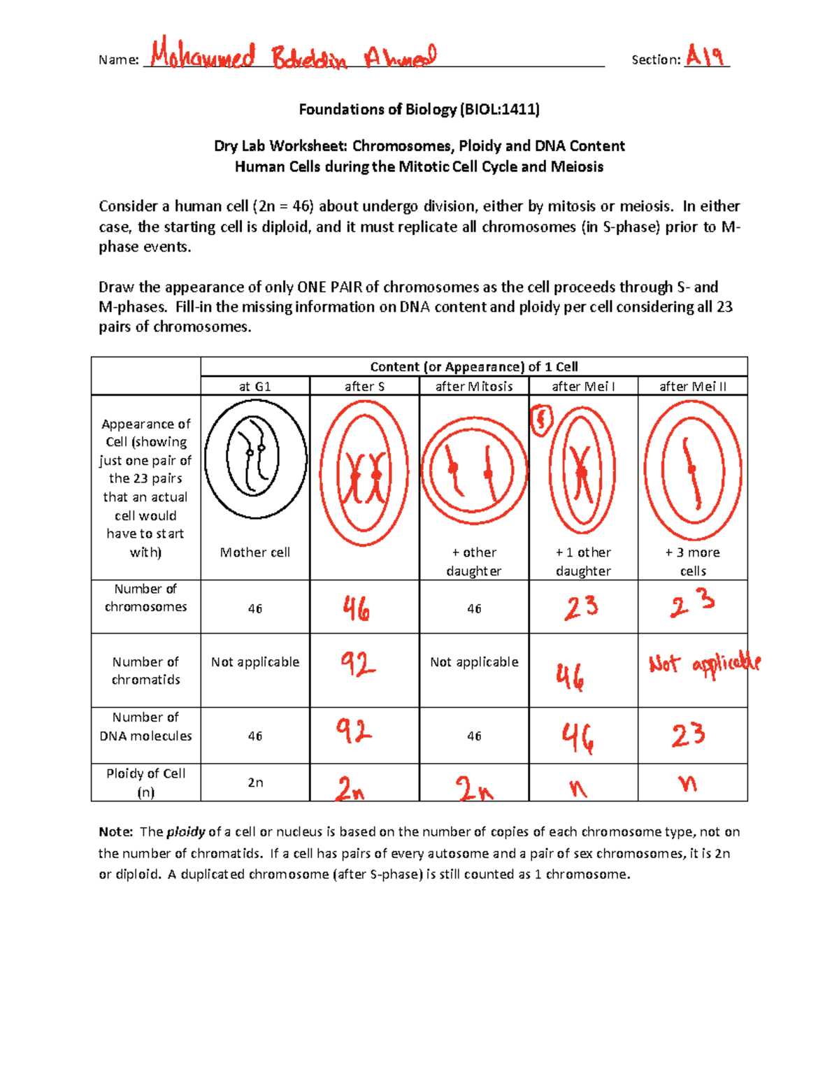 BIOL:1411 Dry Lab Worksheet on Chromosomes & DNA Content - Studocu
