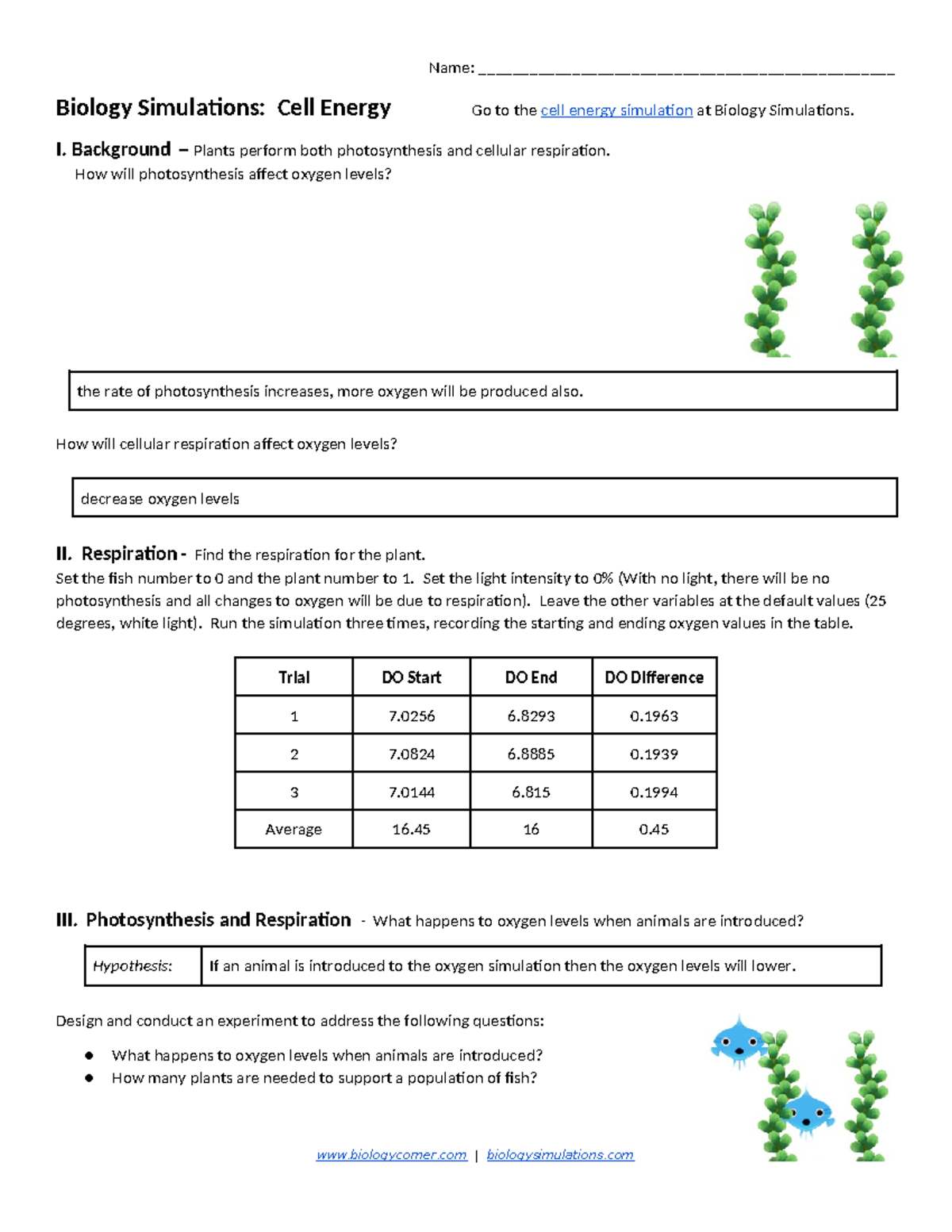 Biology 101: Photosynthesis & Respiration Investigation Report - Studocu