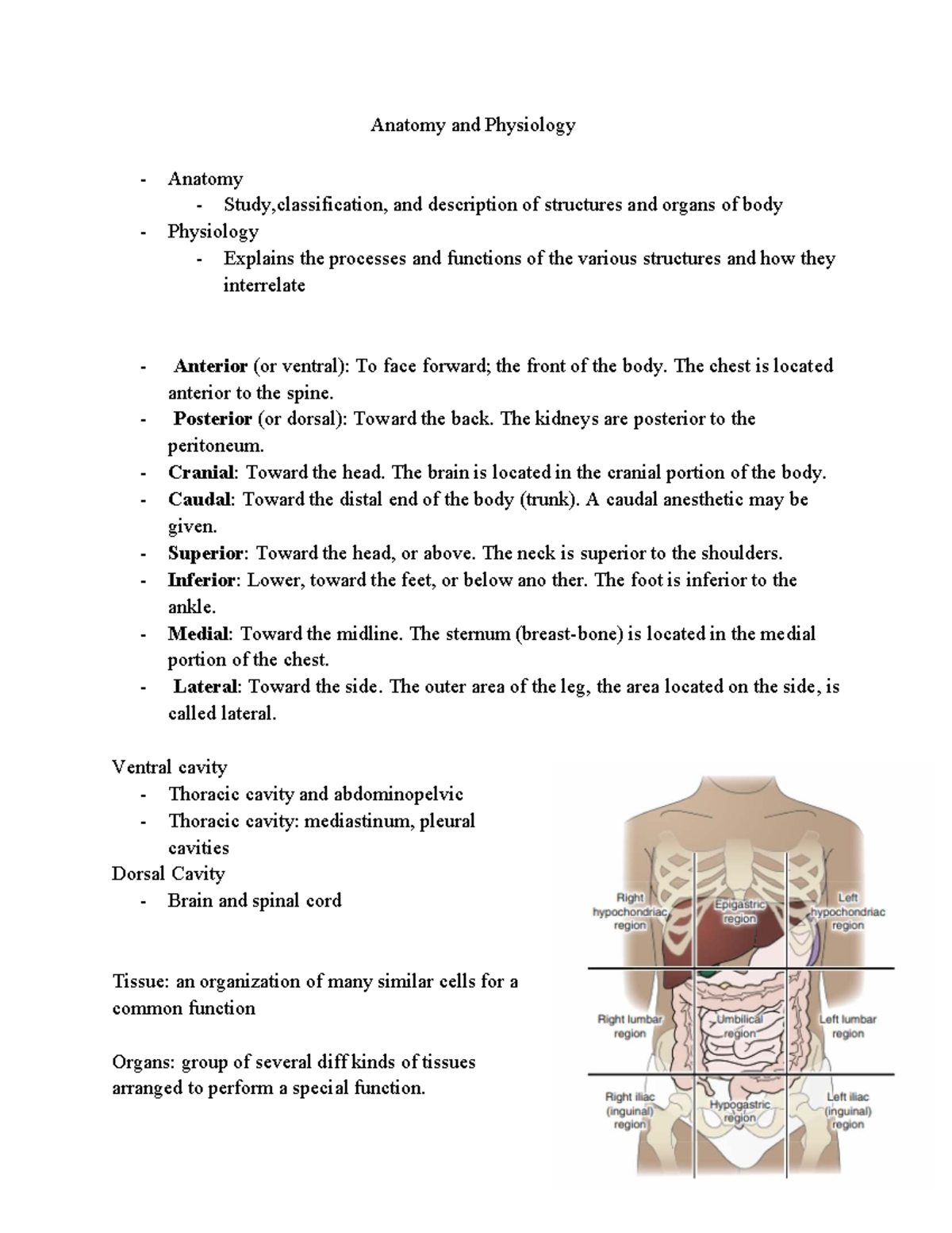 Anatomy and Physiology Overview: Structures, Functions and Processes ...