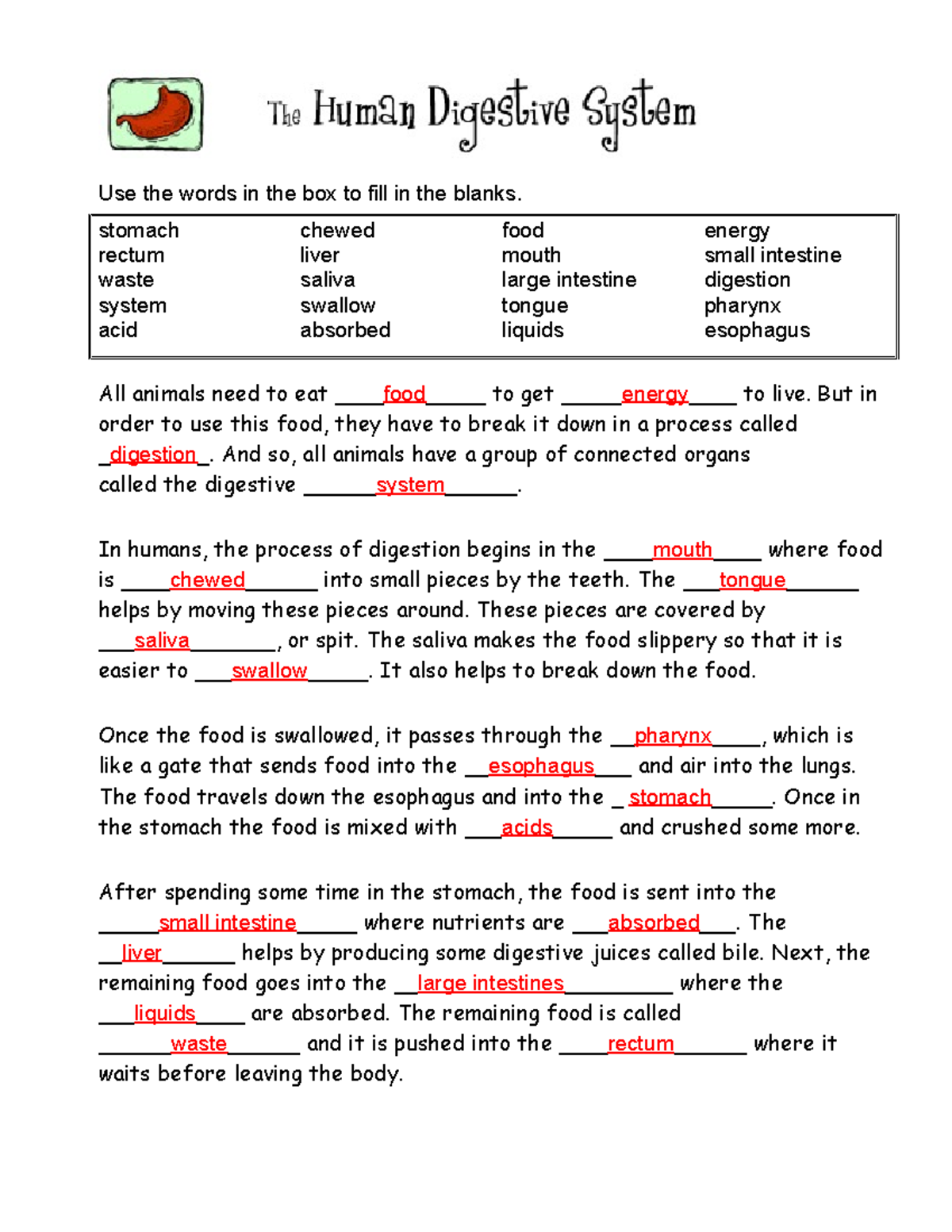 416501526 Digestive System Fill-in-the-Blank Quiz - Studocu