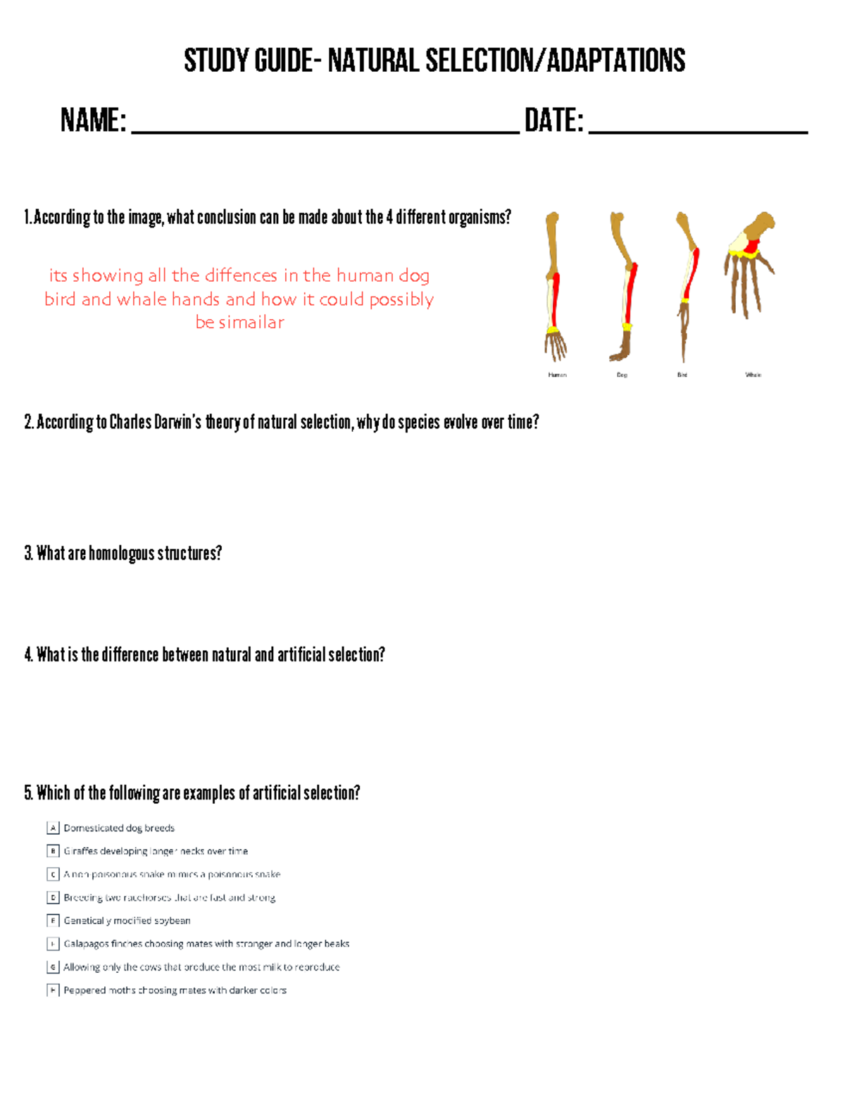 BIO101 Natural Selection & Adaptations Study Guide - Studocu