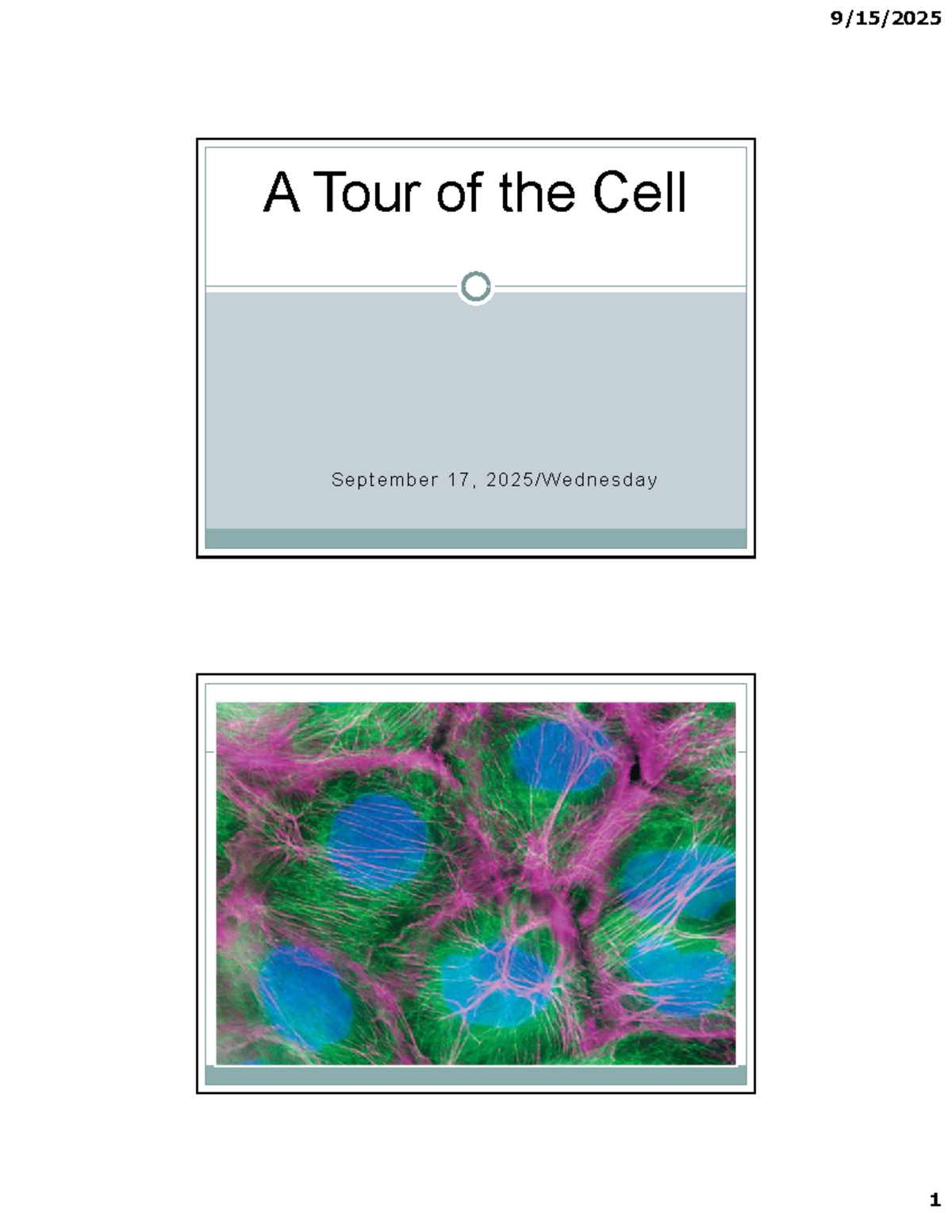 Biology 101: Lecture #5 - A Tour of the Cell (Sept 17, 2025) - Studocu
