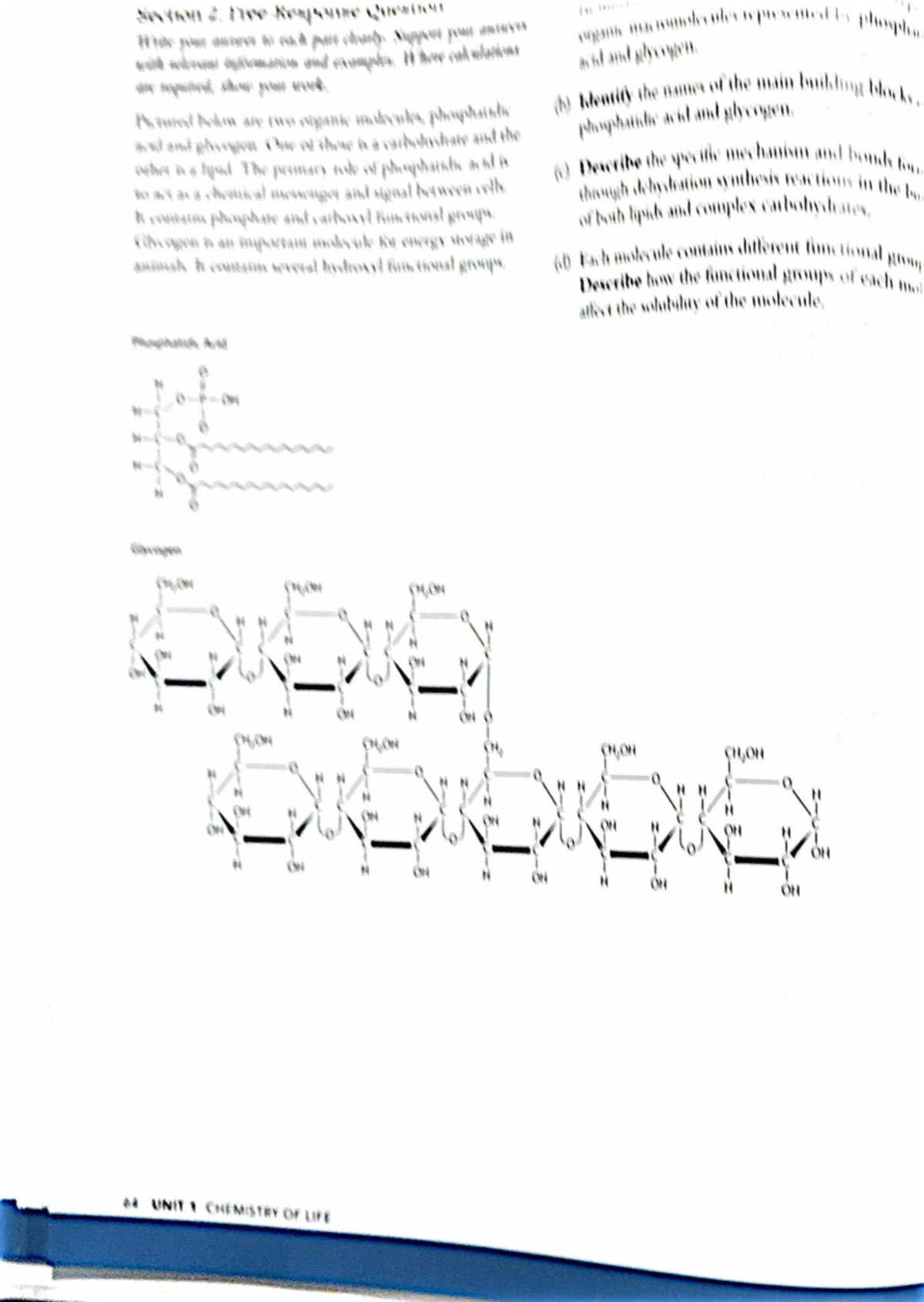 Final Exam Study Guide for Course Code XYZ123: Key Topics Overview ...