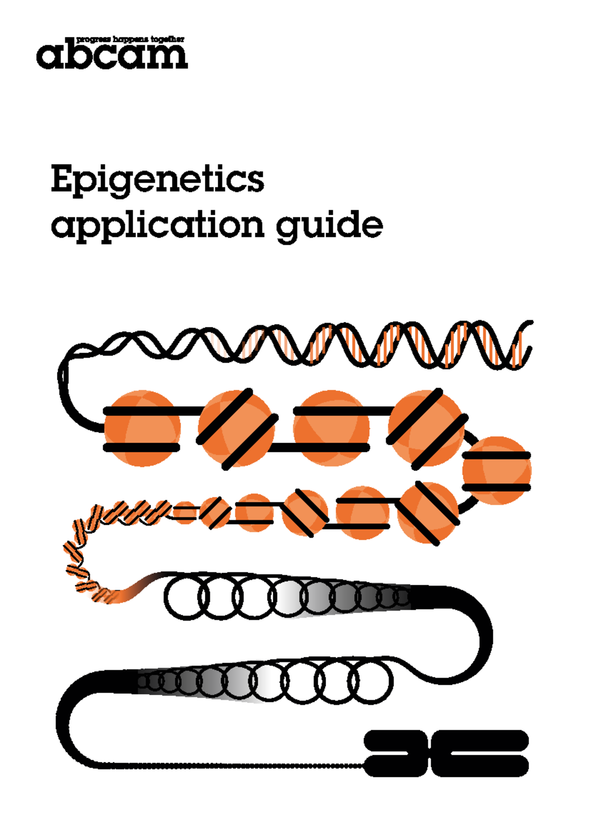 Epigenetics Application Guide: Key Concepts and Study Methods - Studocu