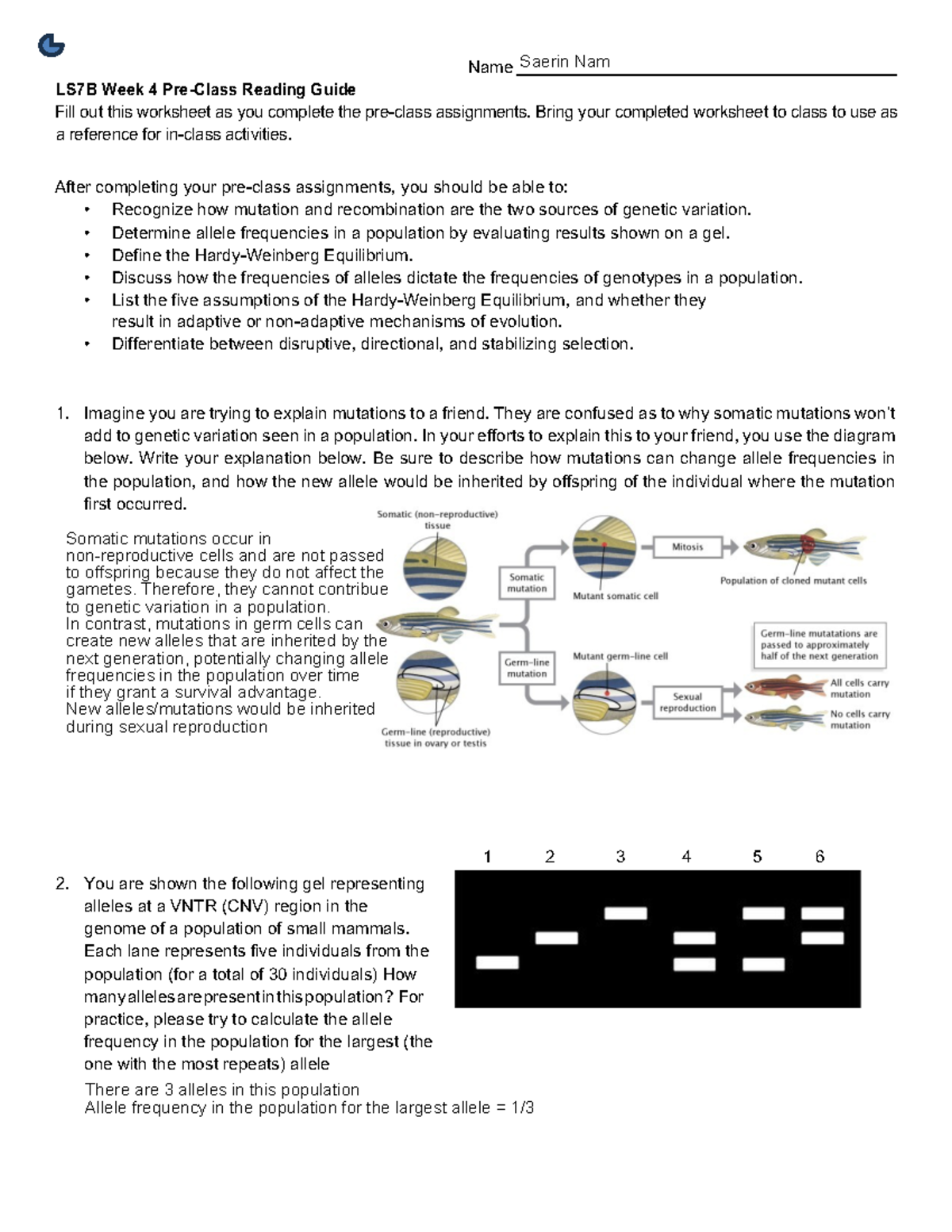 LS7B Week 4 Pre-Class Reading Guide: Genetic Variation and Selection ...
