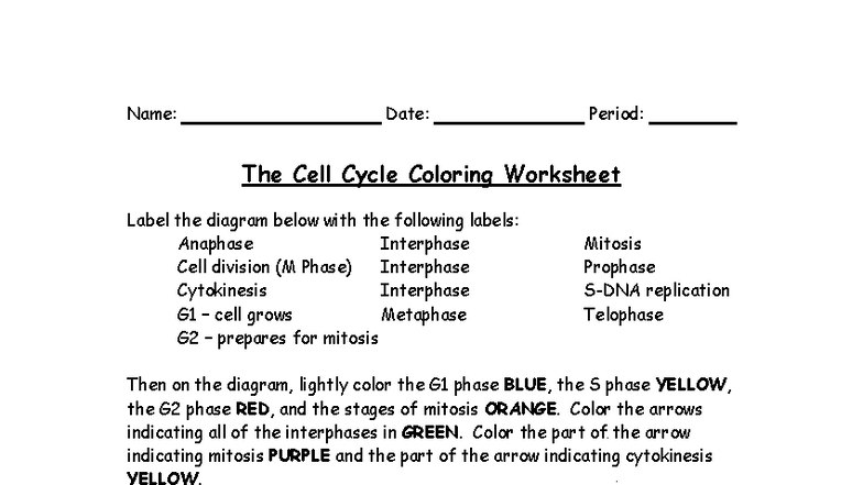 Cell Cycle Coloring Worksheet: Label & Color Stages - Studocu