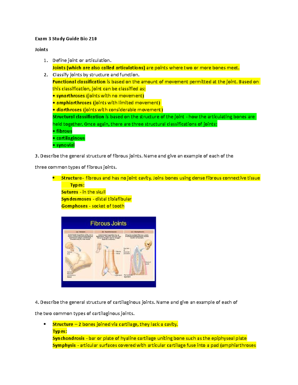 Bio 210 Exam 3 Study Guide: Joints & Muscle Physiology Insights - Studocu