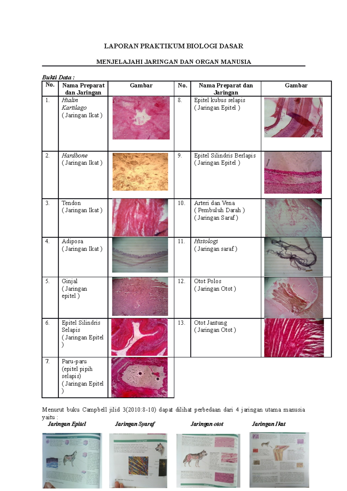 Laporan Praktikum Biologi Dasar: Jaringan & Organ Manusia - Studocu