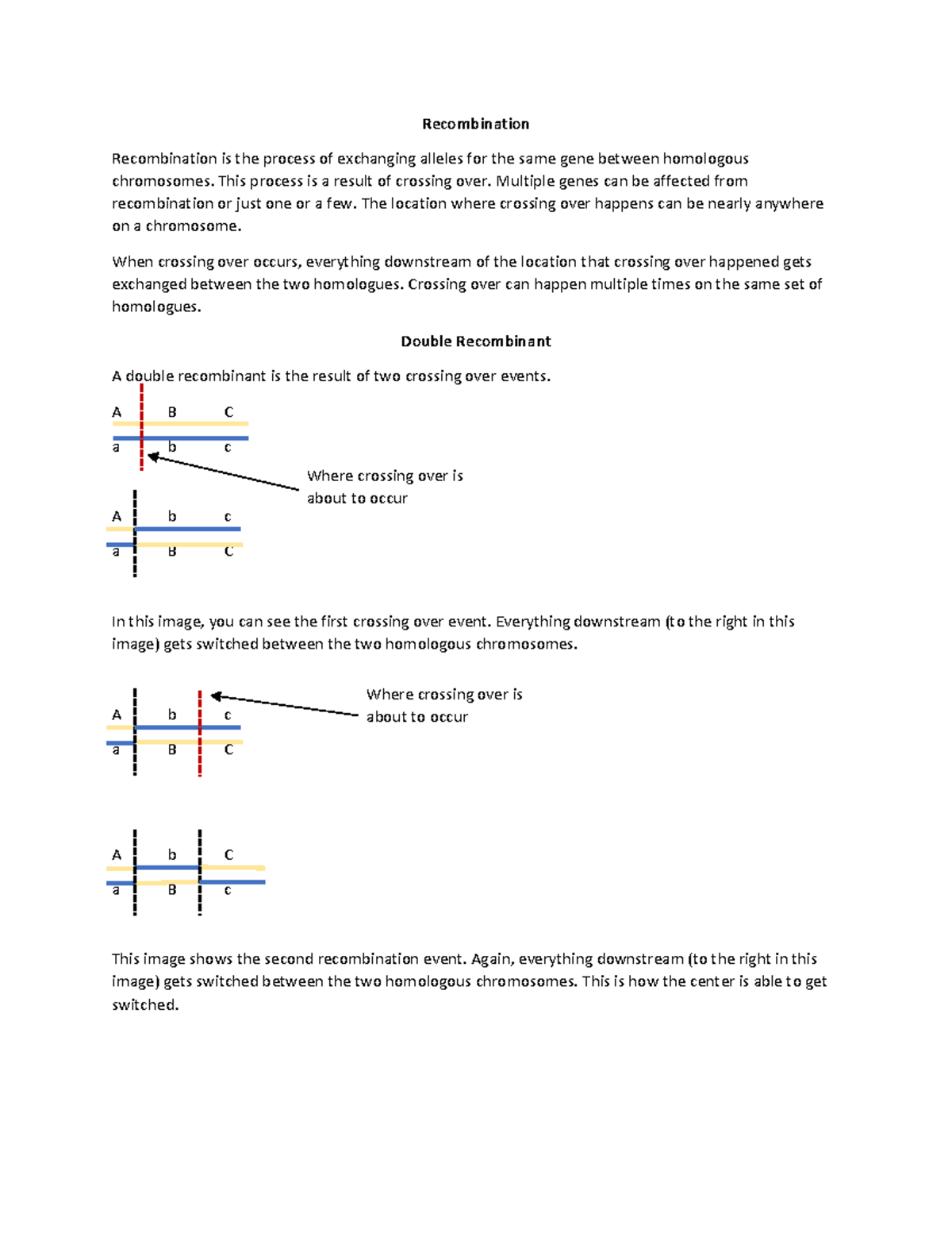 Recombination Practice Worksheet for Genetics (BIO101) - Studocu