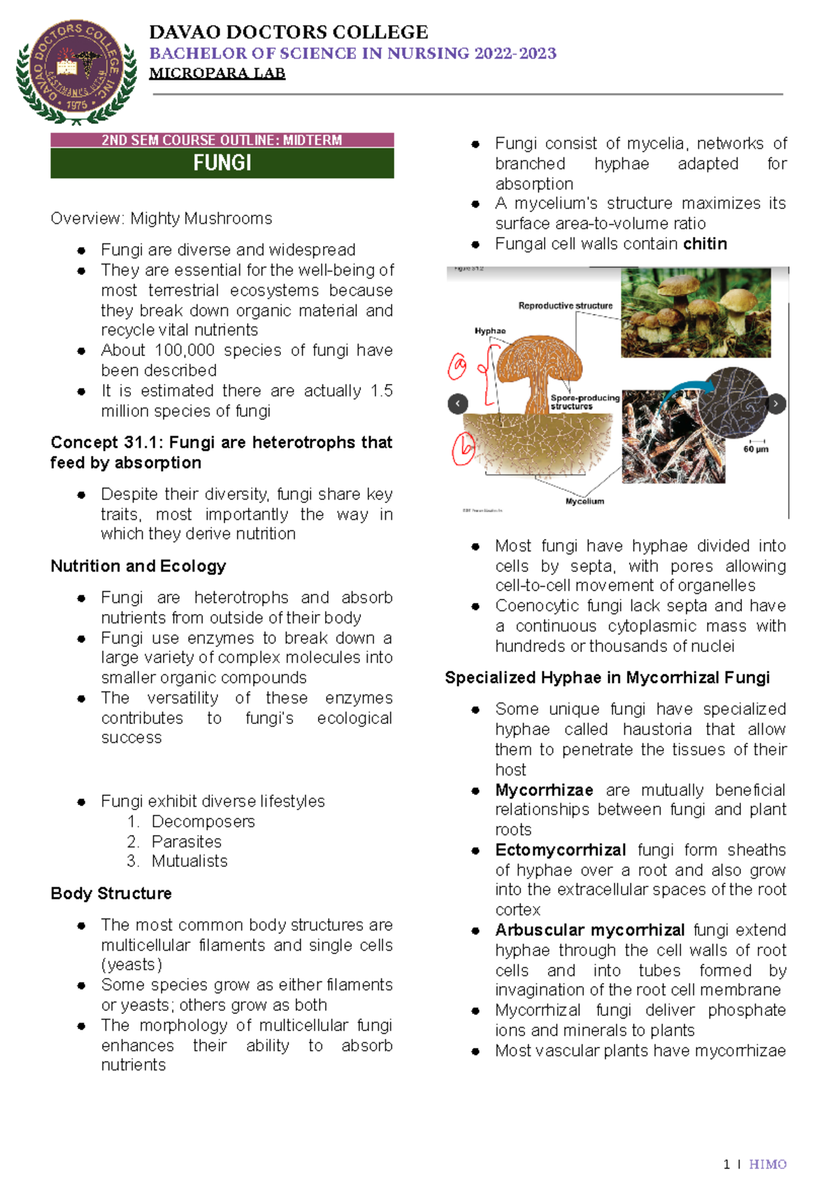 Micropara Lab: Fungi Overview - Midterm Lecture Notes - Studocu