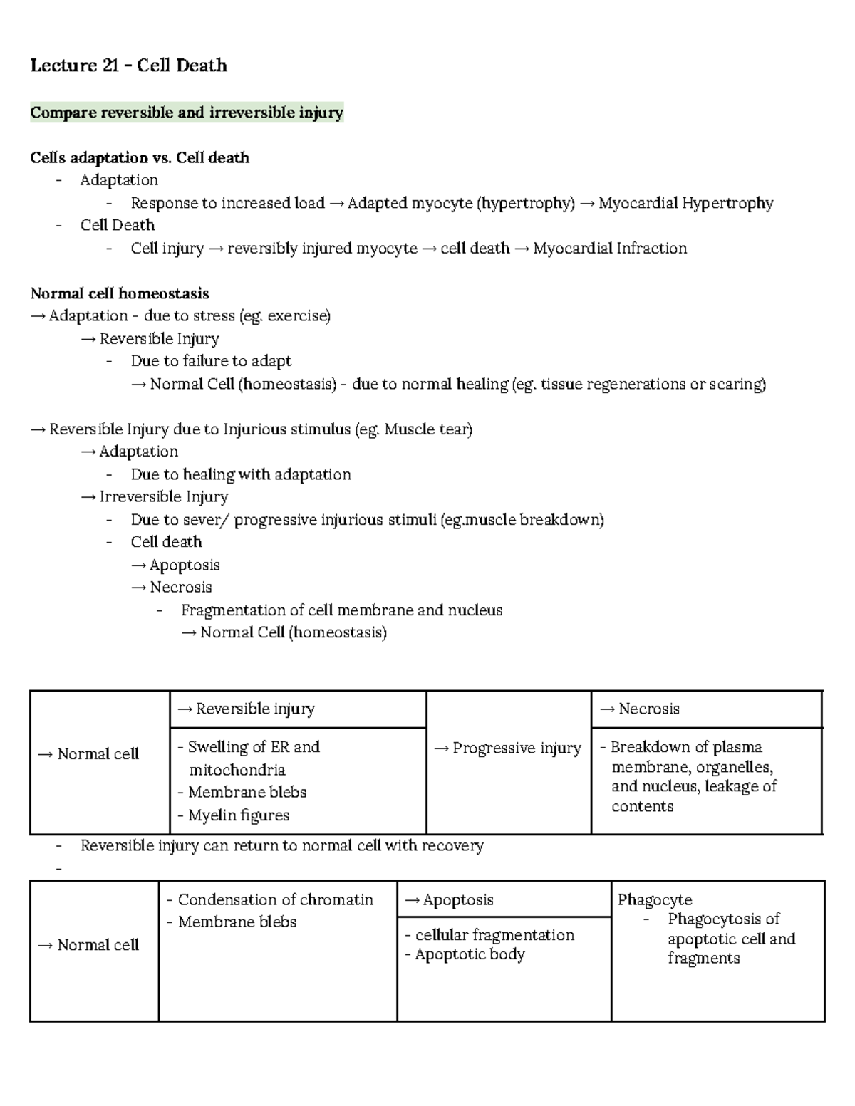 PSCI202 Lecture 21: Cell Death Mechanisms - Injury, Adaptation, and ...