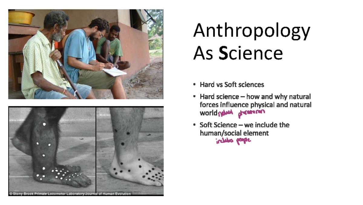 Anthropology as Science: Lecture Notes on Evolutionary Thought - Studocu