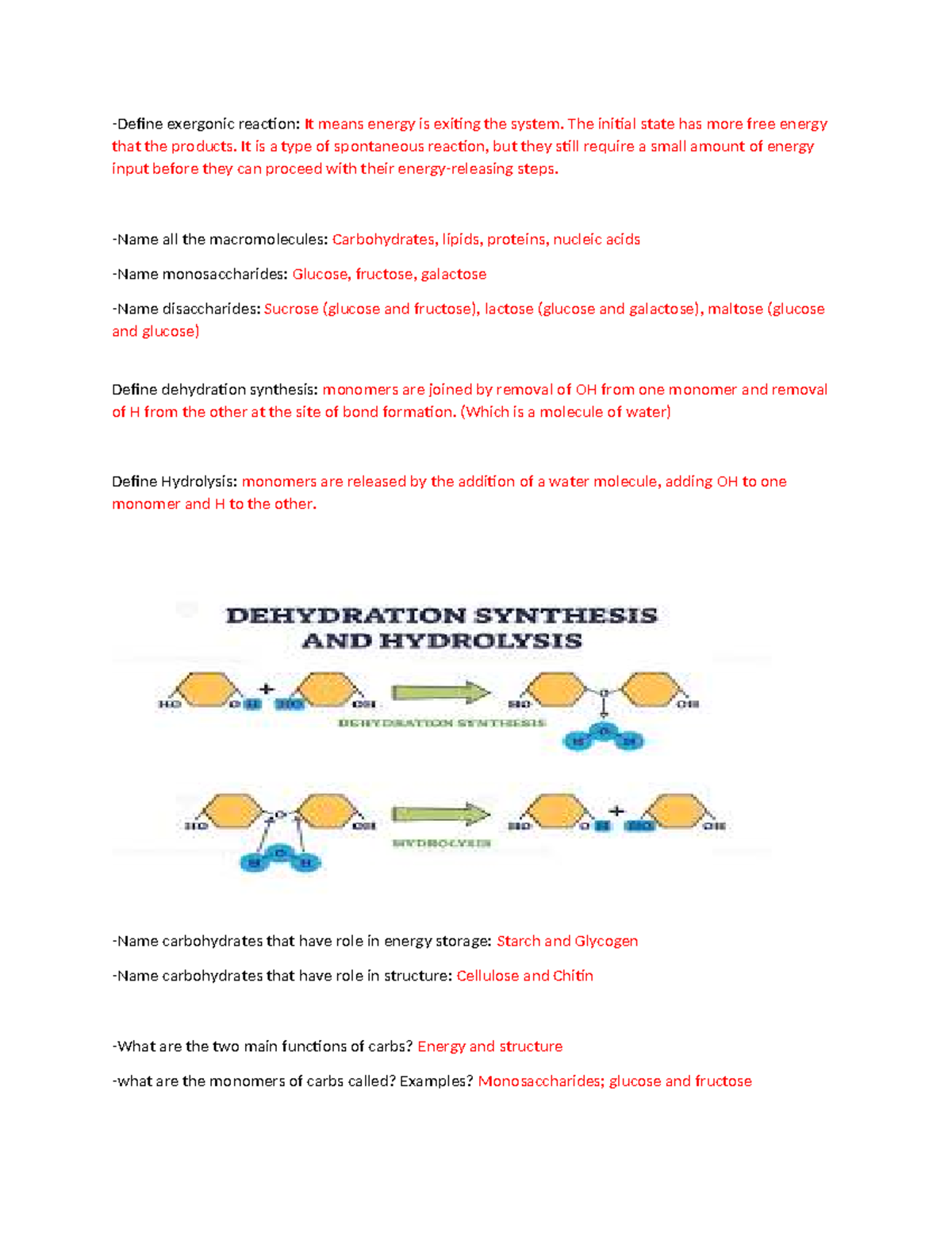 Biology Notes on Macromolecules & Enzyme Function (BIO 101) - Studocu