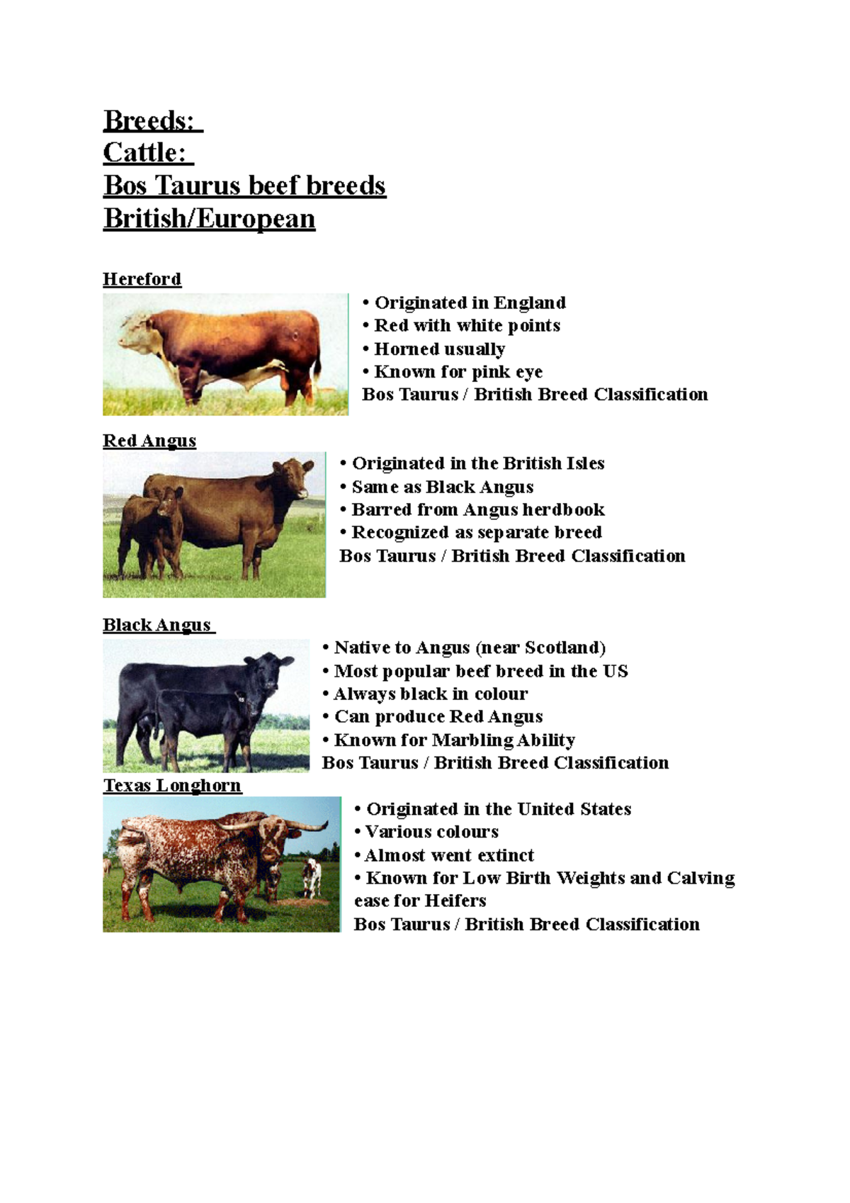 Livestock Breeds - Breeds: Cattle: Bos Taurus beef breeds British ...