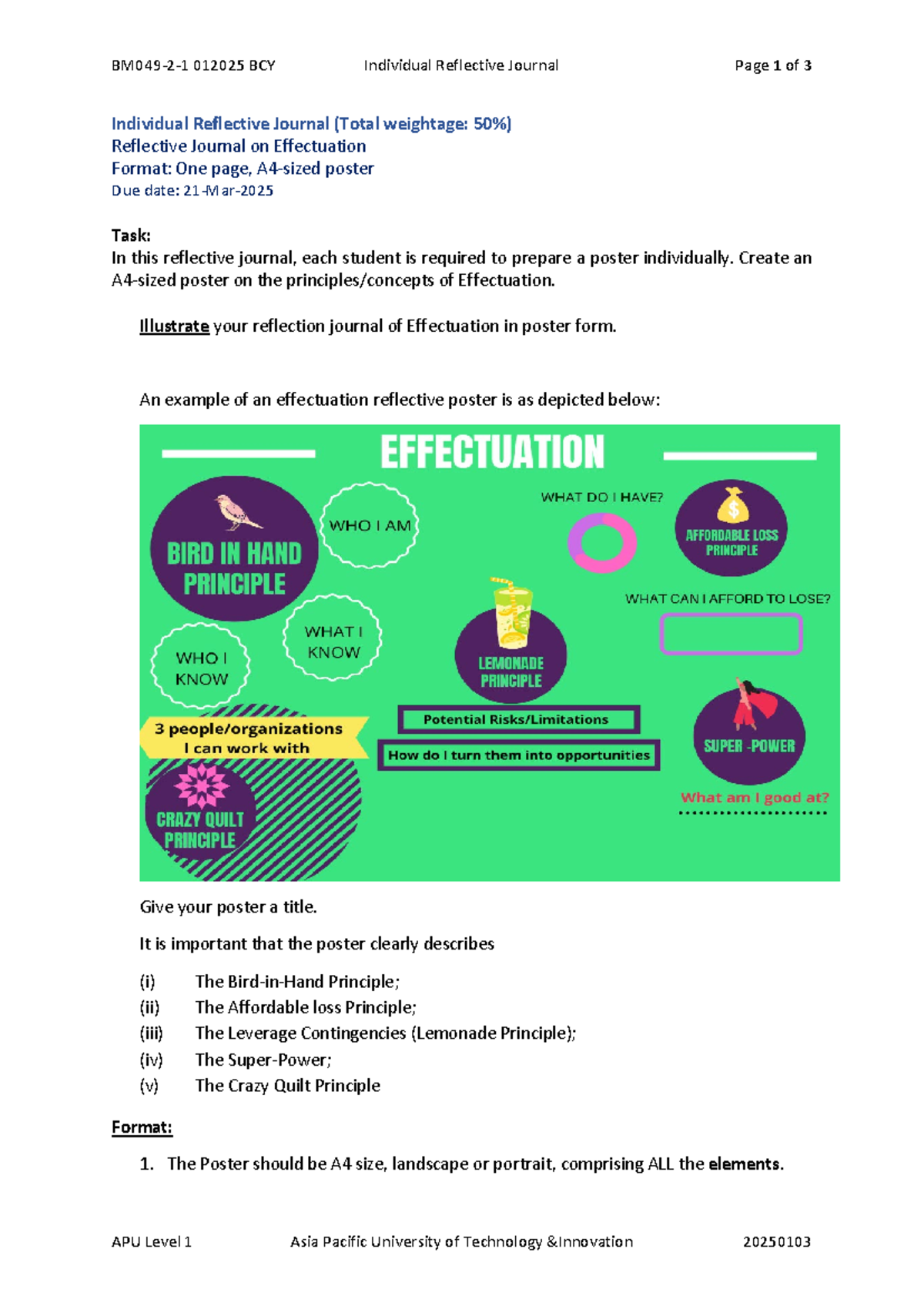 BM049 Individual Reflective Journal on Effectuation Principles - Studocu