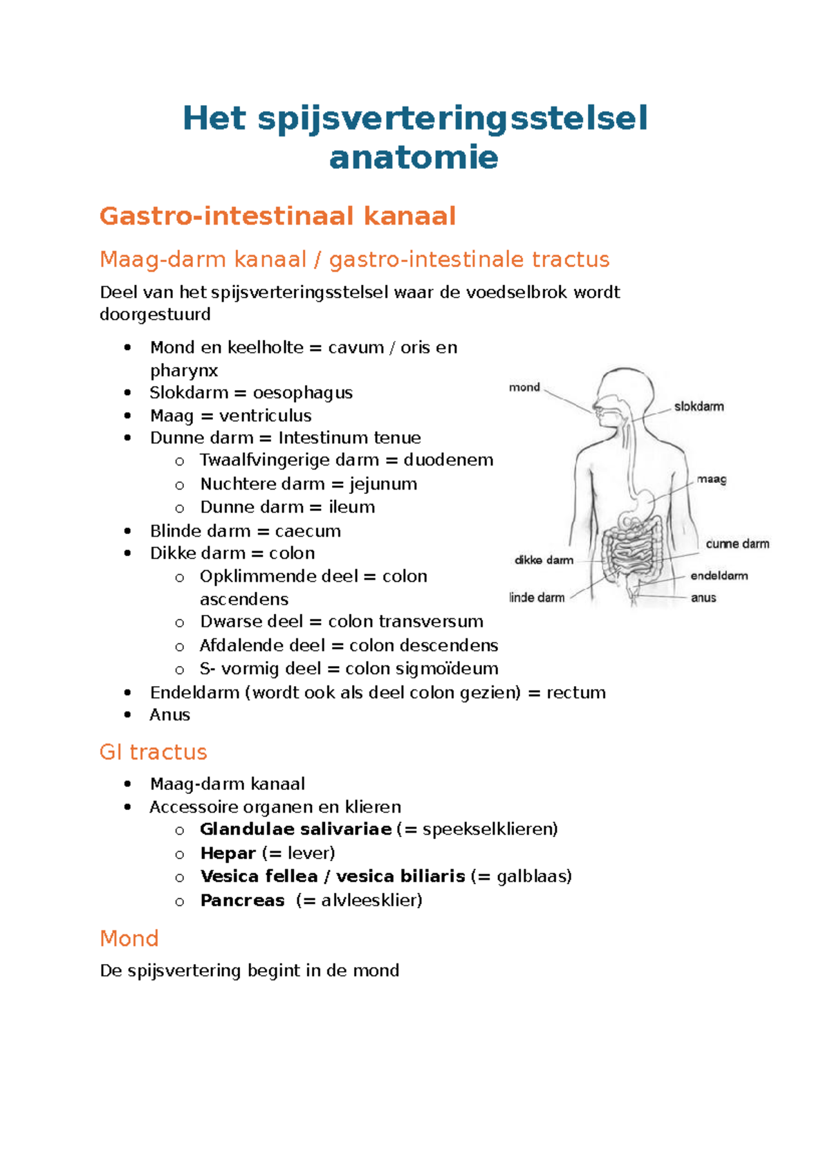 Het spijsverteringsstelsel Anatomie samenvatting - Het ...