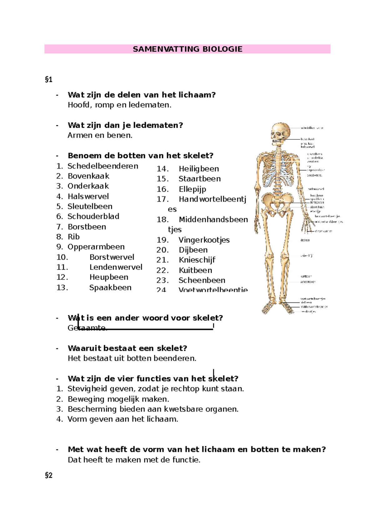 BIO 101 Samenvatting: Delen van het Lichaam en Skelet Functies ...