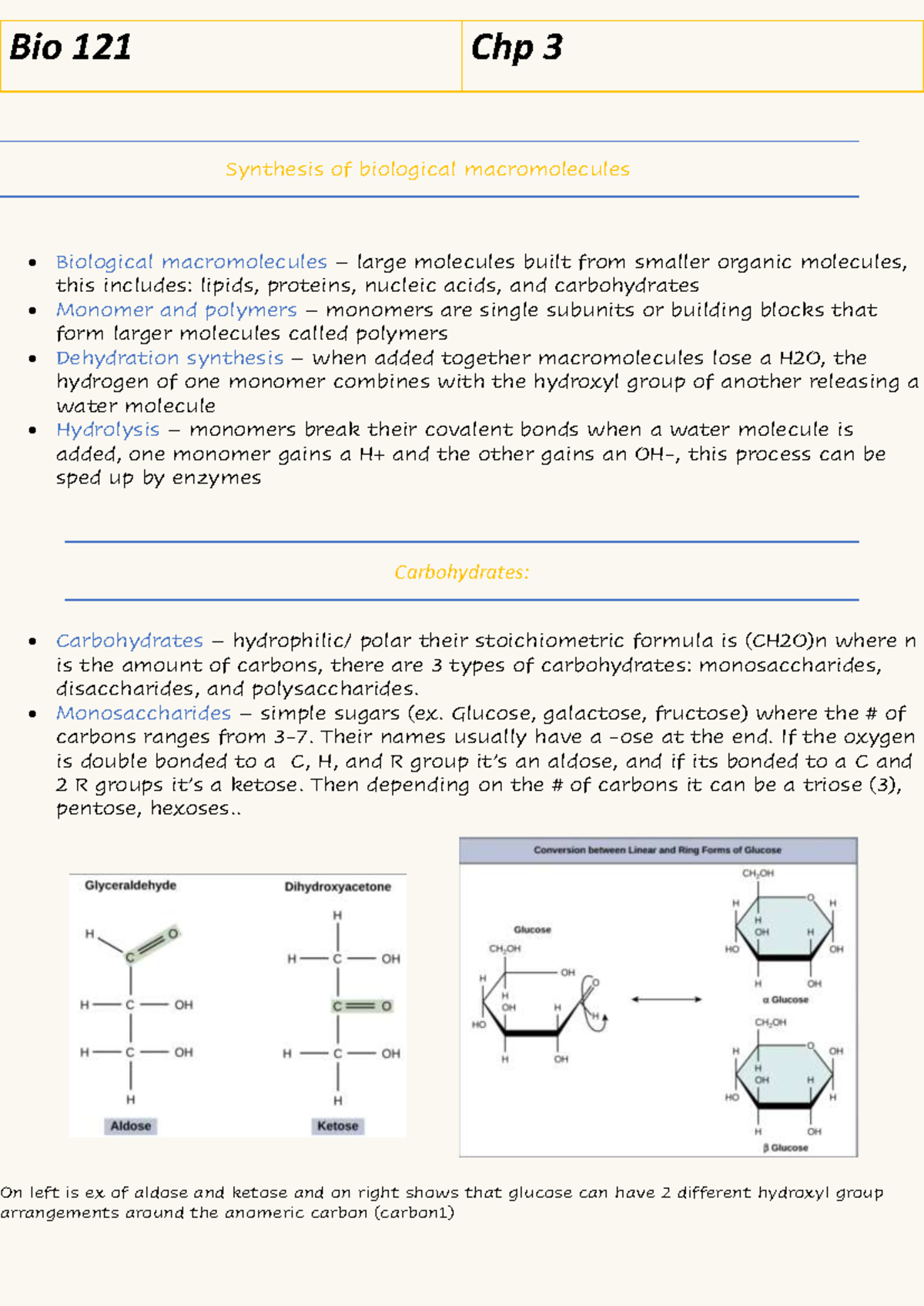 Bio 121 Chp 3 - Synthesis of Biological Macromolecules - Studocu