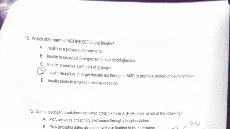 MCB450 Exam 3 Practice: Insulin & Glycogen Metabolism Questions - Studocu