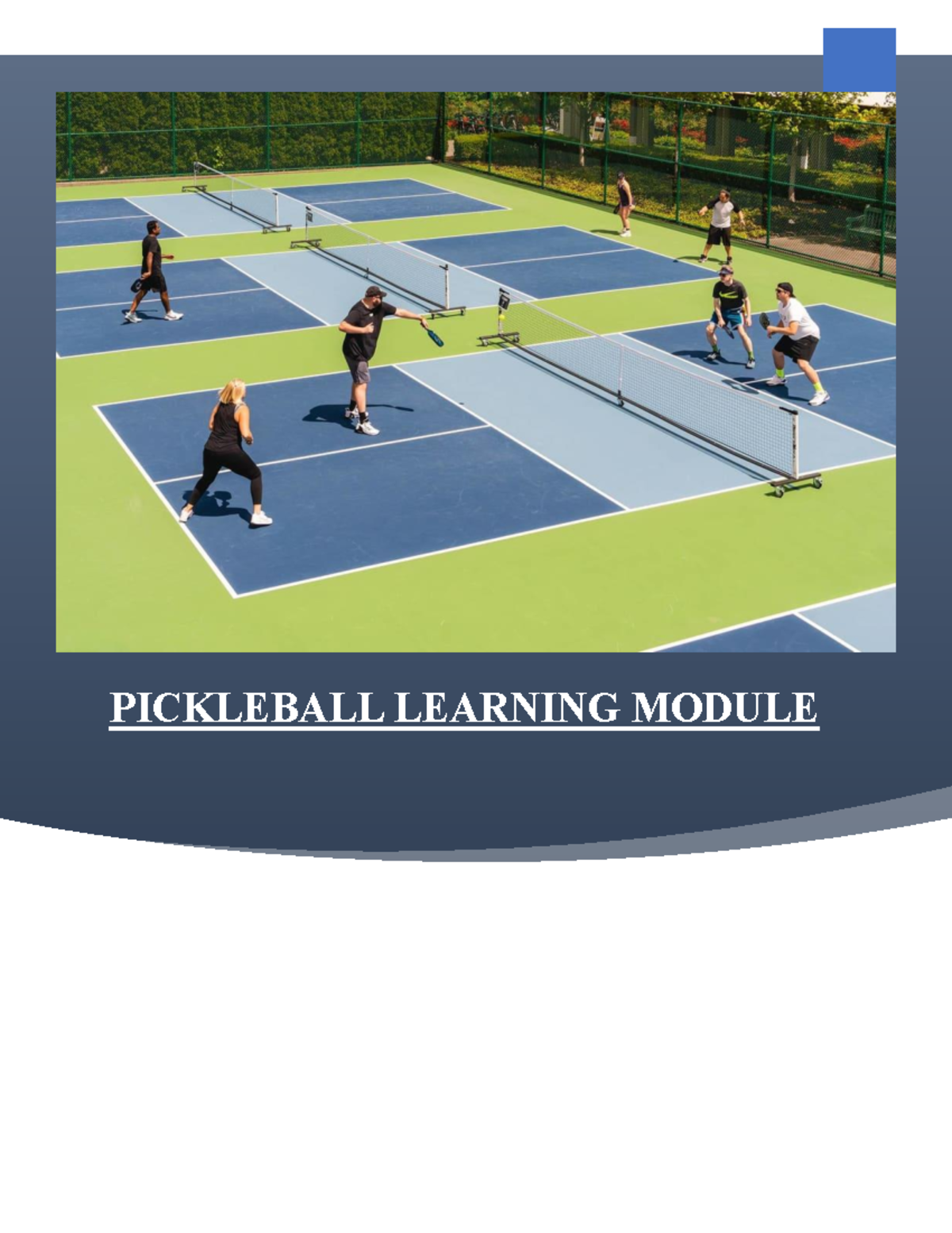 Pickleball Learning Module: History, Skills, and Court Dimensions - Studocu