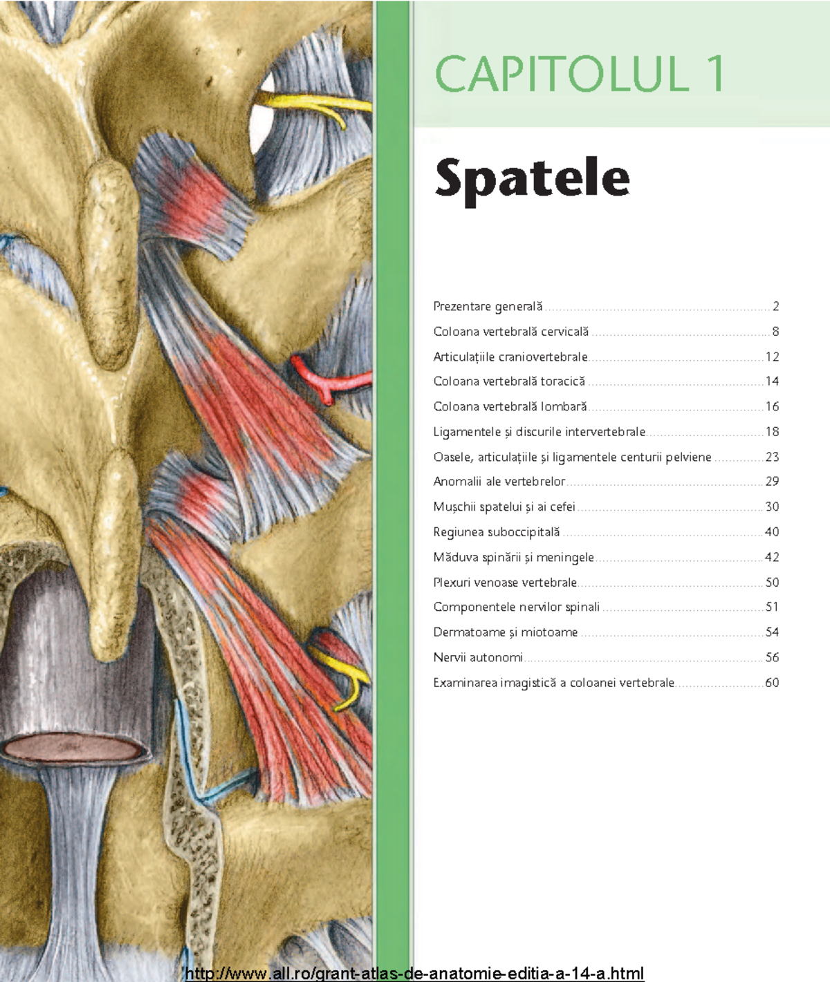 Atlas de Anatomie - Prezentare Generală a Sistemului Schematic - Studocu