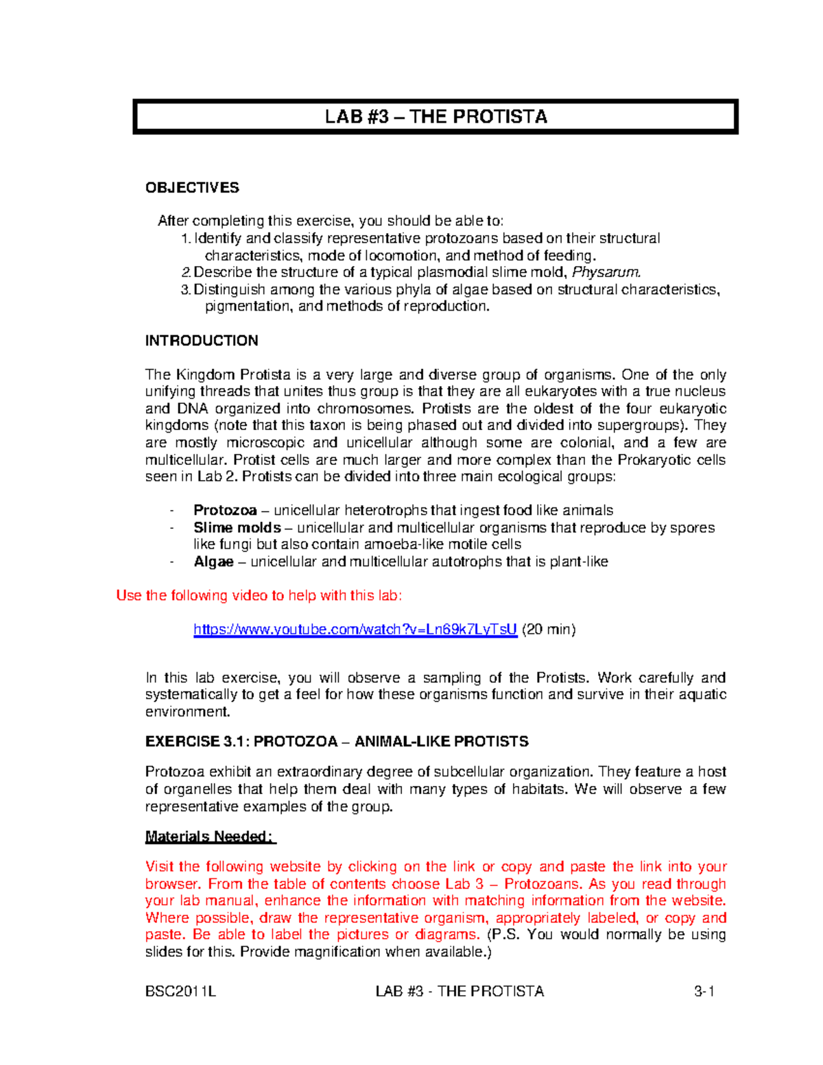 BSC2011L Lab 03: Exploring the Kingdom Protista and Its Diversity - Studocu