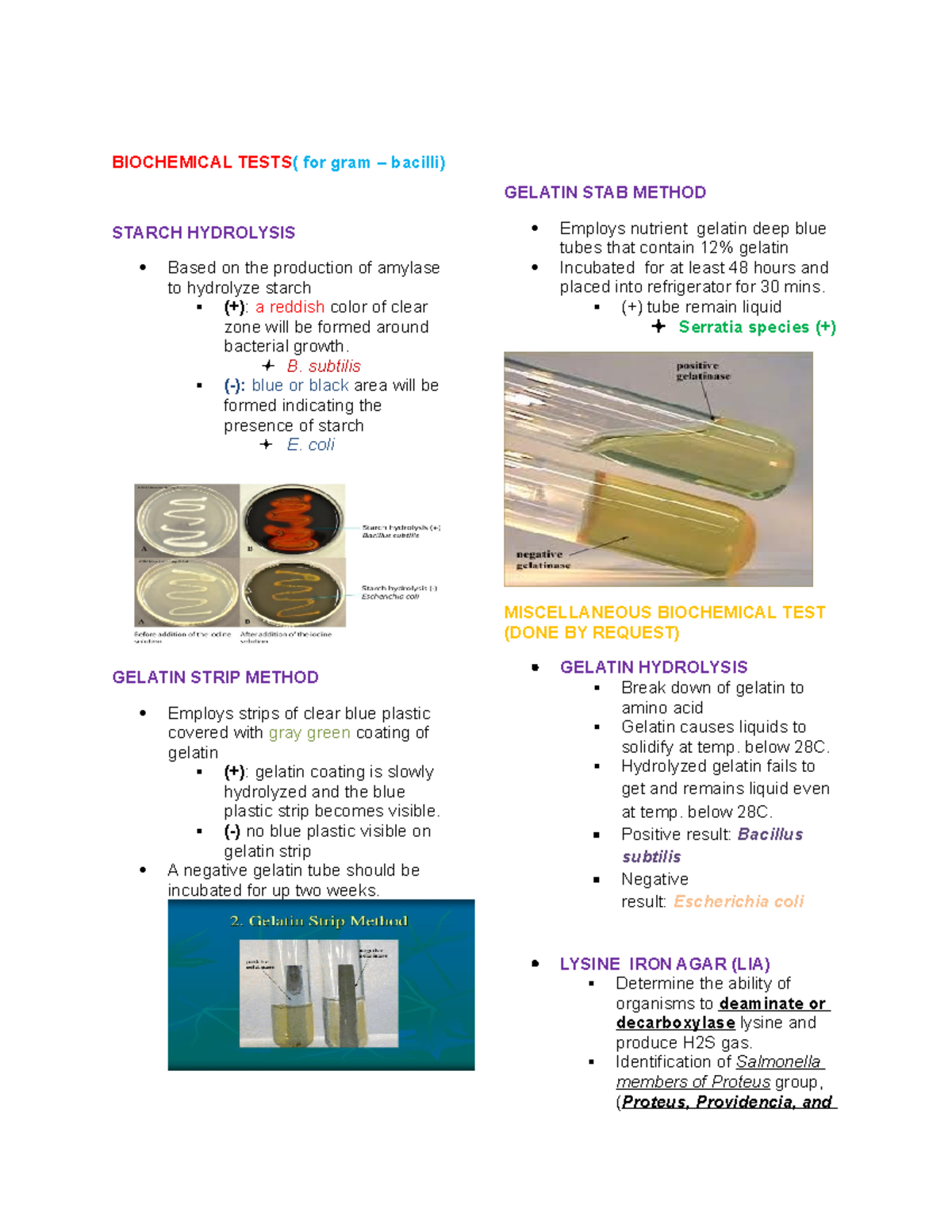 Biochemical Tests summary - BIOCHEMICAL TESTS( for gram – bacilli ...
