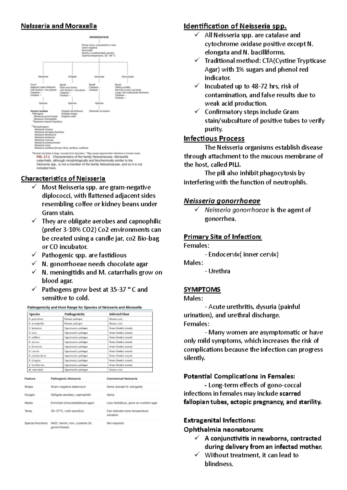 Neisseria and Moraxella Identification: BACTE Lecture Notes - Studocu