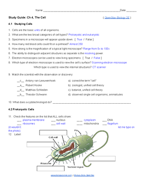 Double Helix Film HHMI - answer key - Name ...