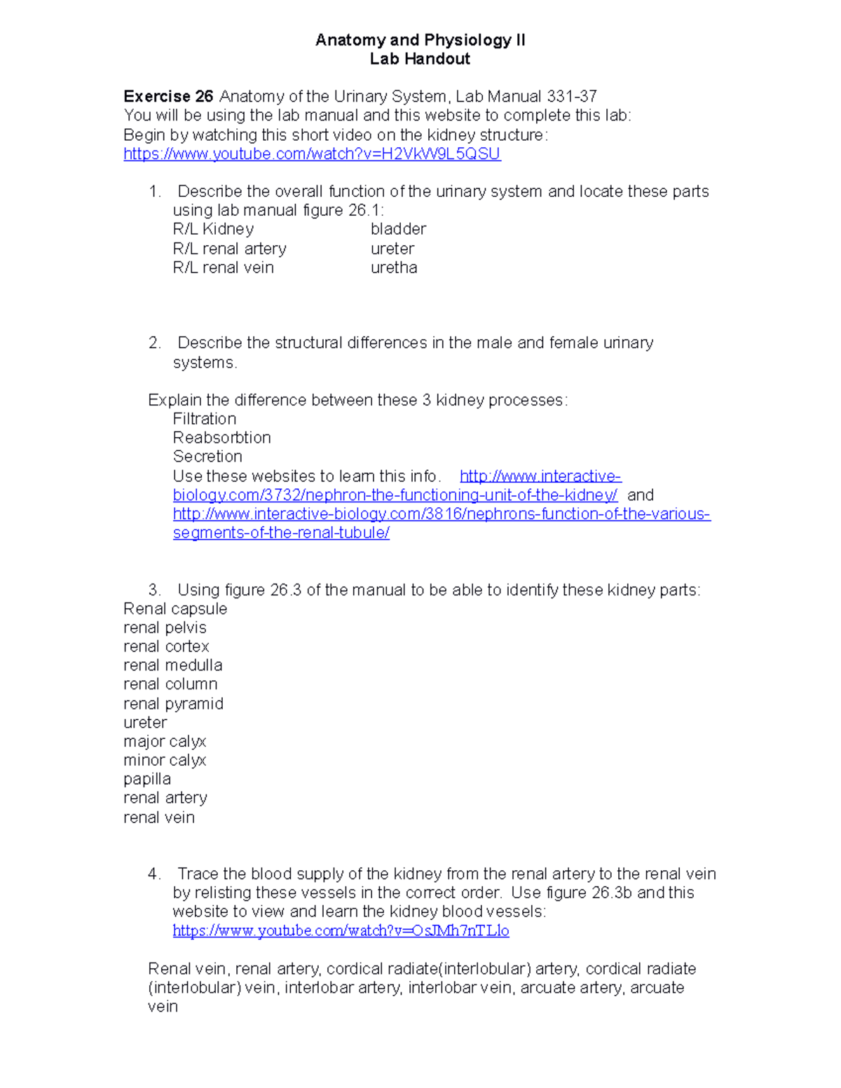 Ap2 Lab Exercise 26: Understanding the Urinary System Functions - Studocu