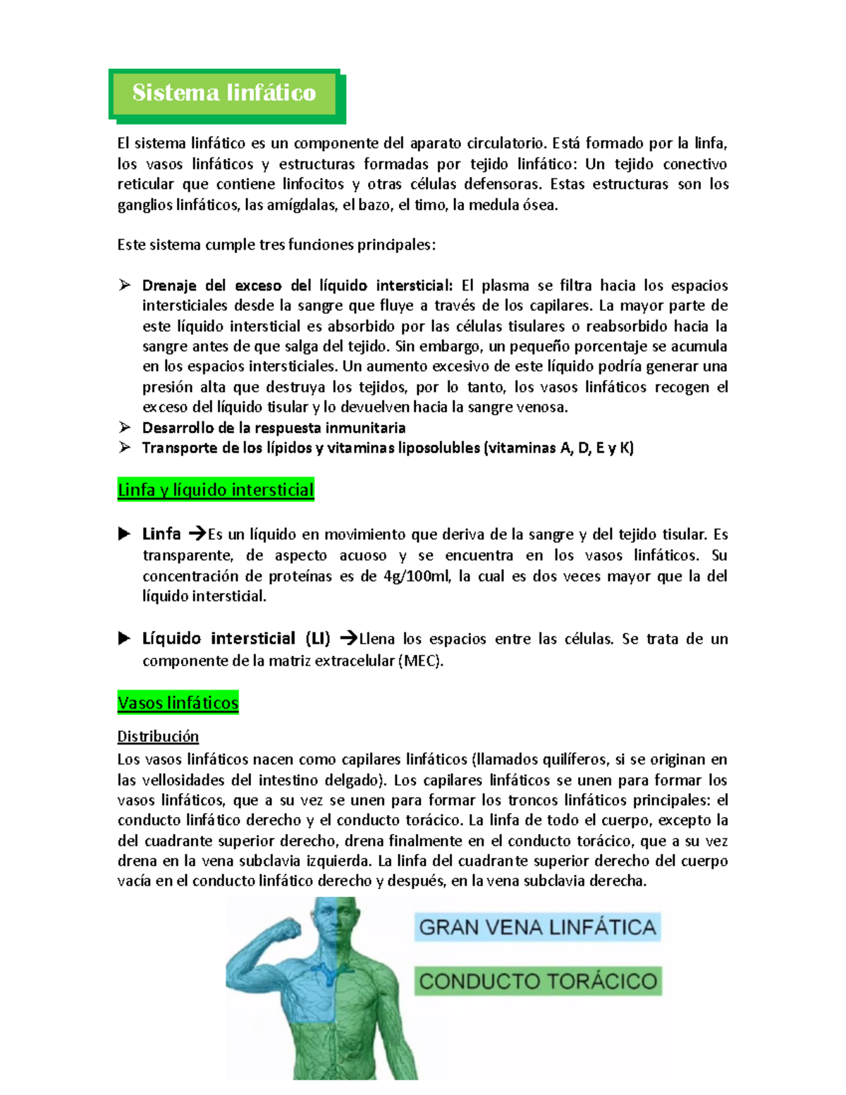 El sistema linfático - PATTON - Warning: TT: undefined function: 32 Warning: TT: undefined ...