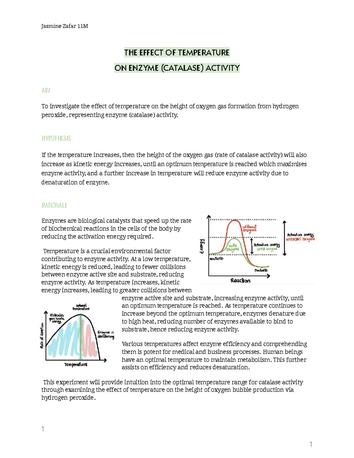 11M Final Exam: The Effect of Temperature on Catalase Activity - Studocu