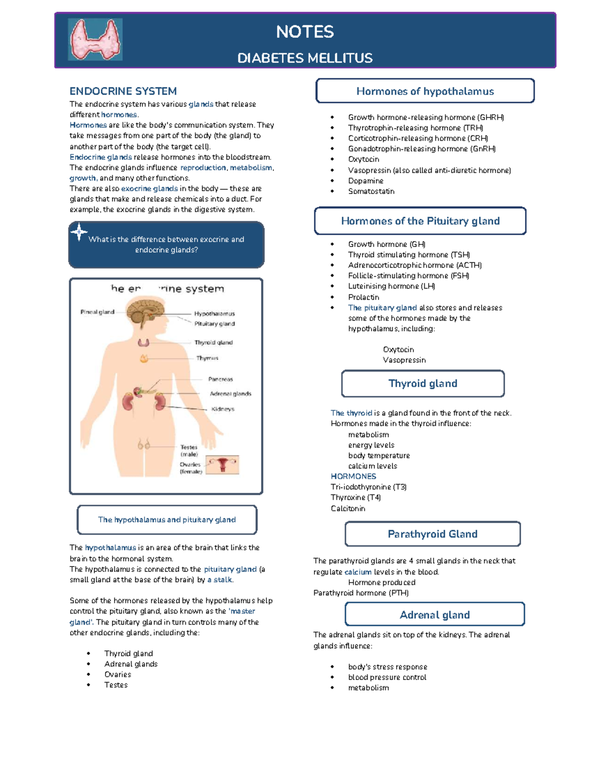 Diabetes Mellitus Study Notes for Exam Preparation - Studocu