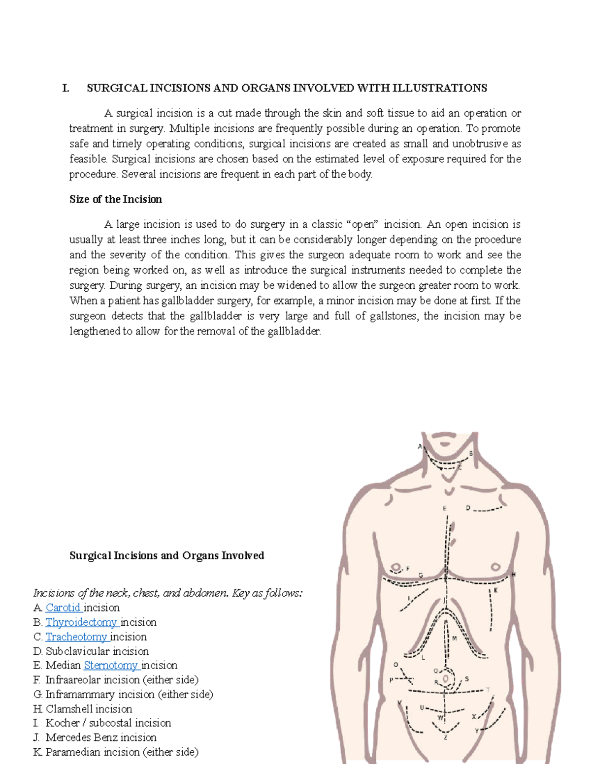 Surgical Incisions AND Organs Involved WITH Illustrations - I. SURGICAL ...