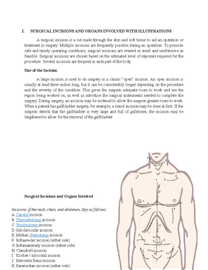 Surgical Incisions AND Organs Involved WITH Illustrations - I. SURGICAL ...